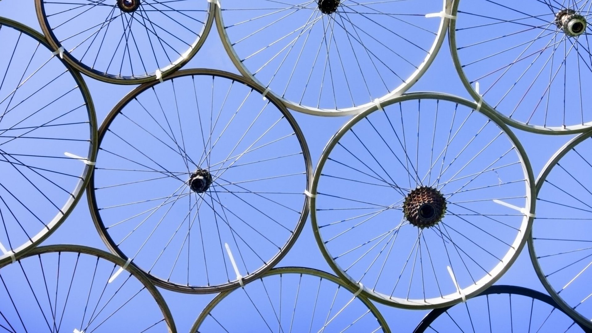 Open Letter to Aspiring Entrepreneurs: Don't Reinvent the Wheel | Inc.com