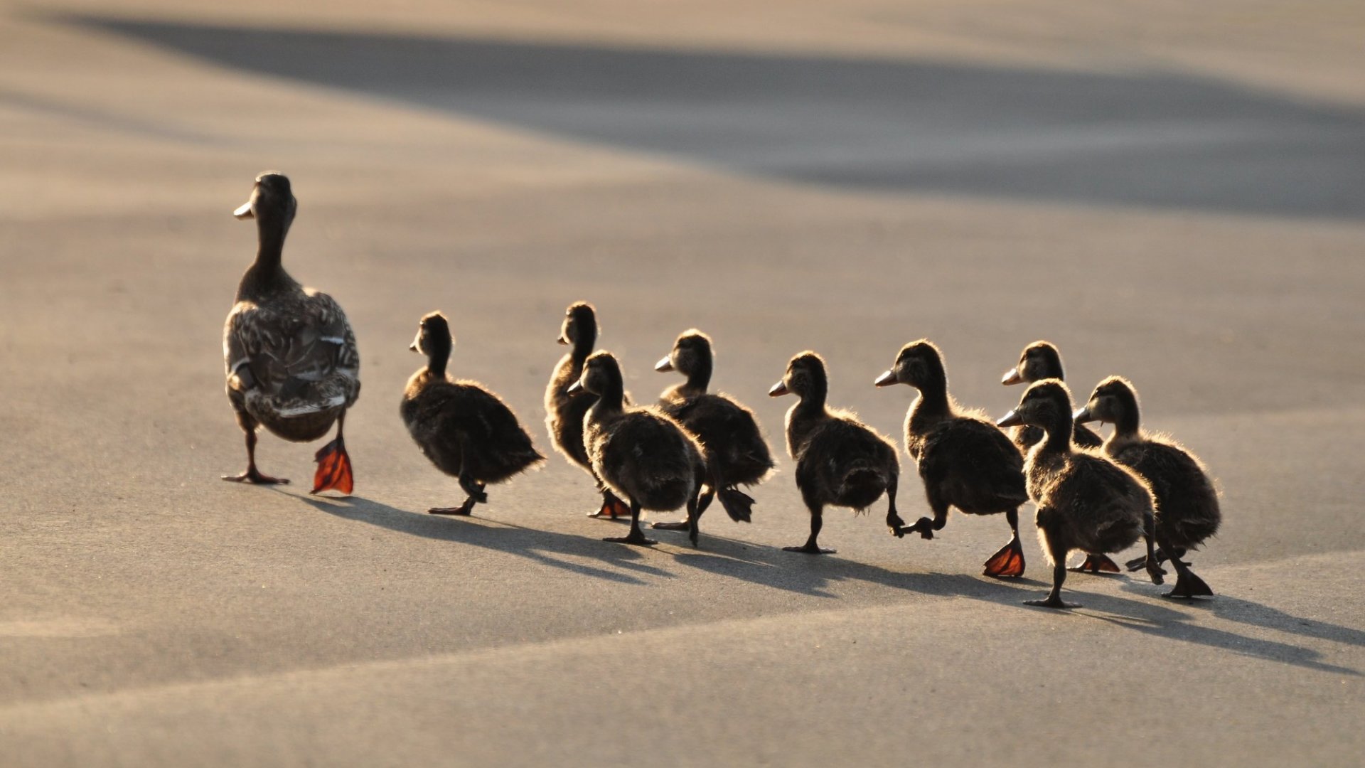 The 3 Most Important Leadership Principles I've Learned Over the Past ...