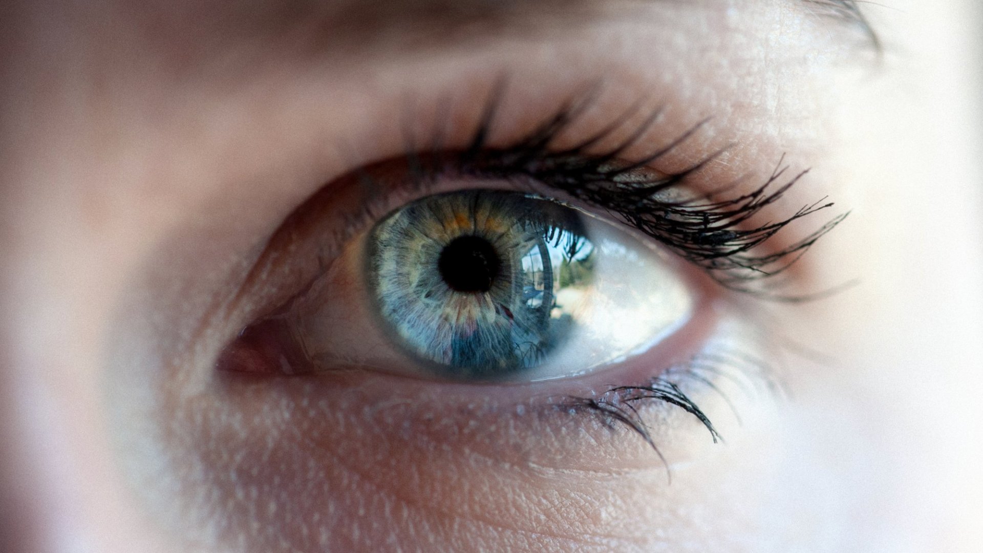 This Device Lets Doctors Conduct Eye Exams Through a Smartphone | Inc.com
