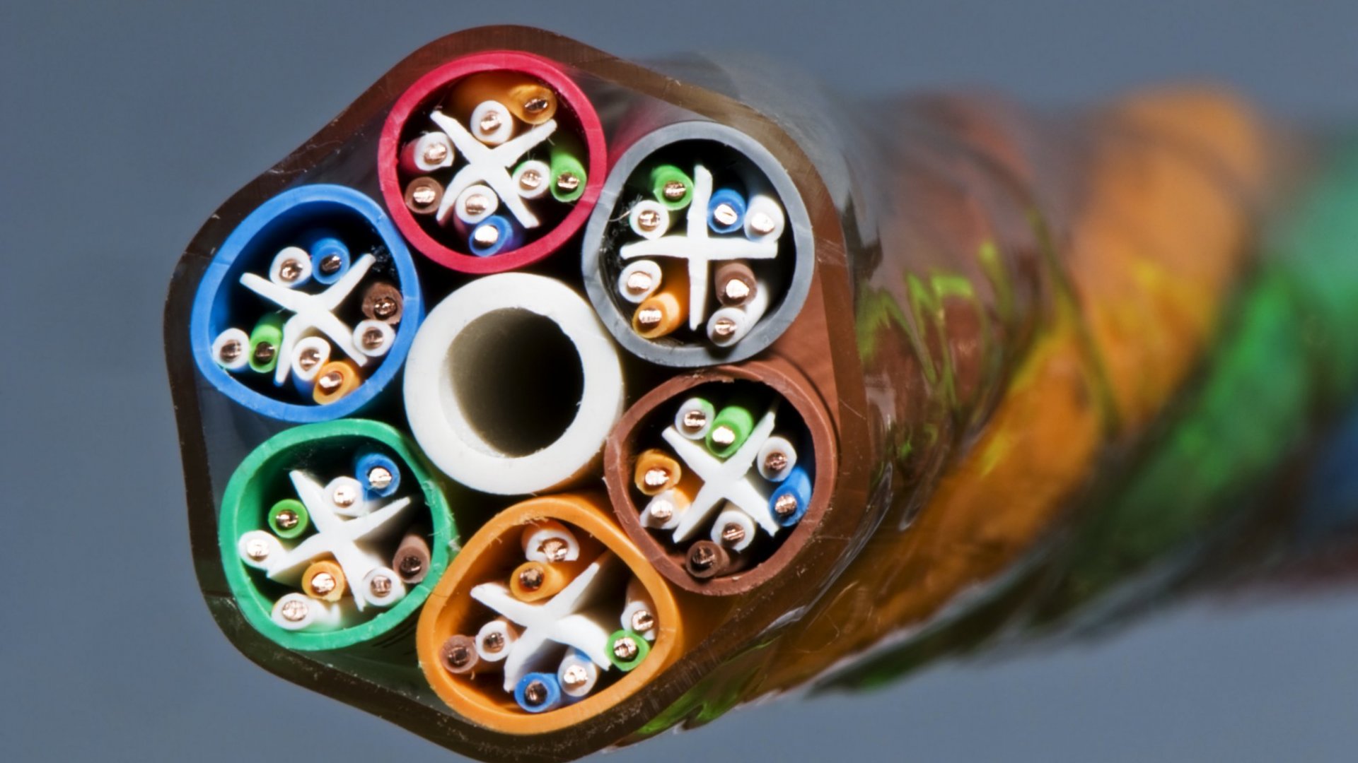 The Rise Of The Rundle: A New Trend For Subscription-Based Services ...