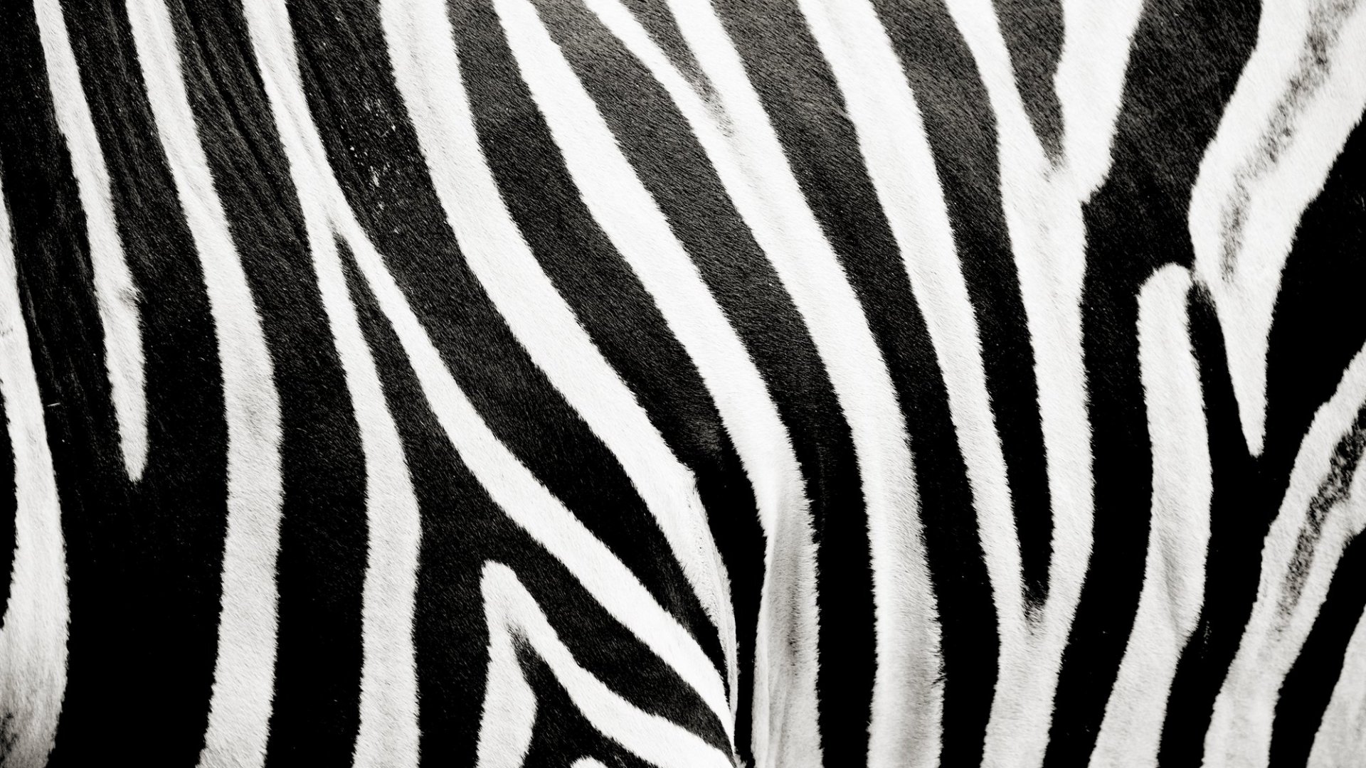 Q&A With The Billion Dollar Company That Has a Unique Name and a ...