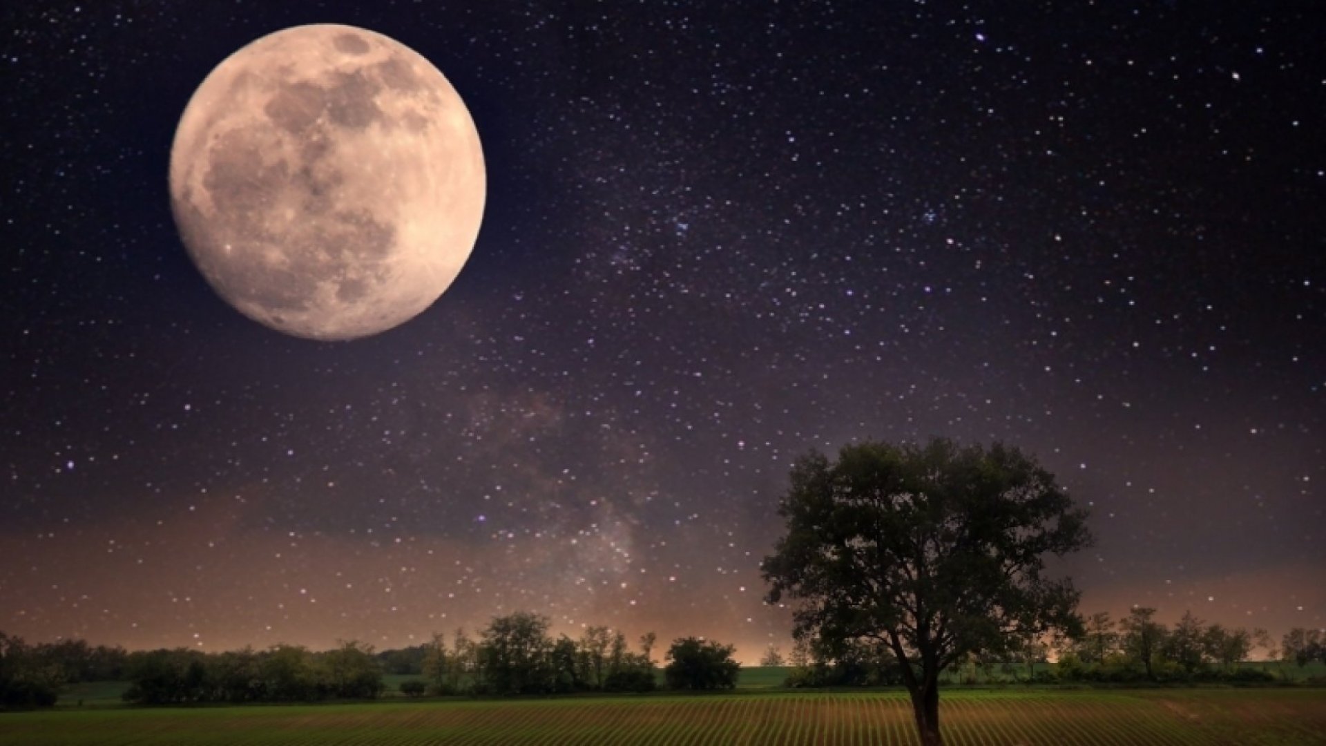 How Google's Moonshot Strategy Is Paying Off | Inc.com