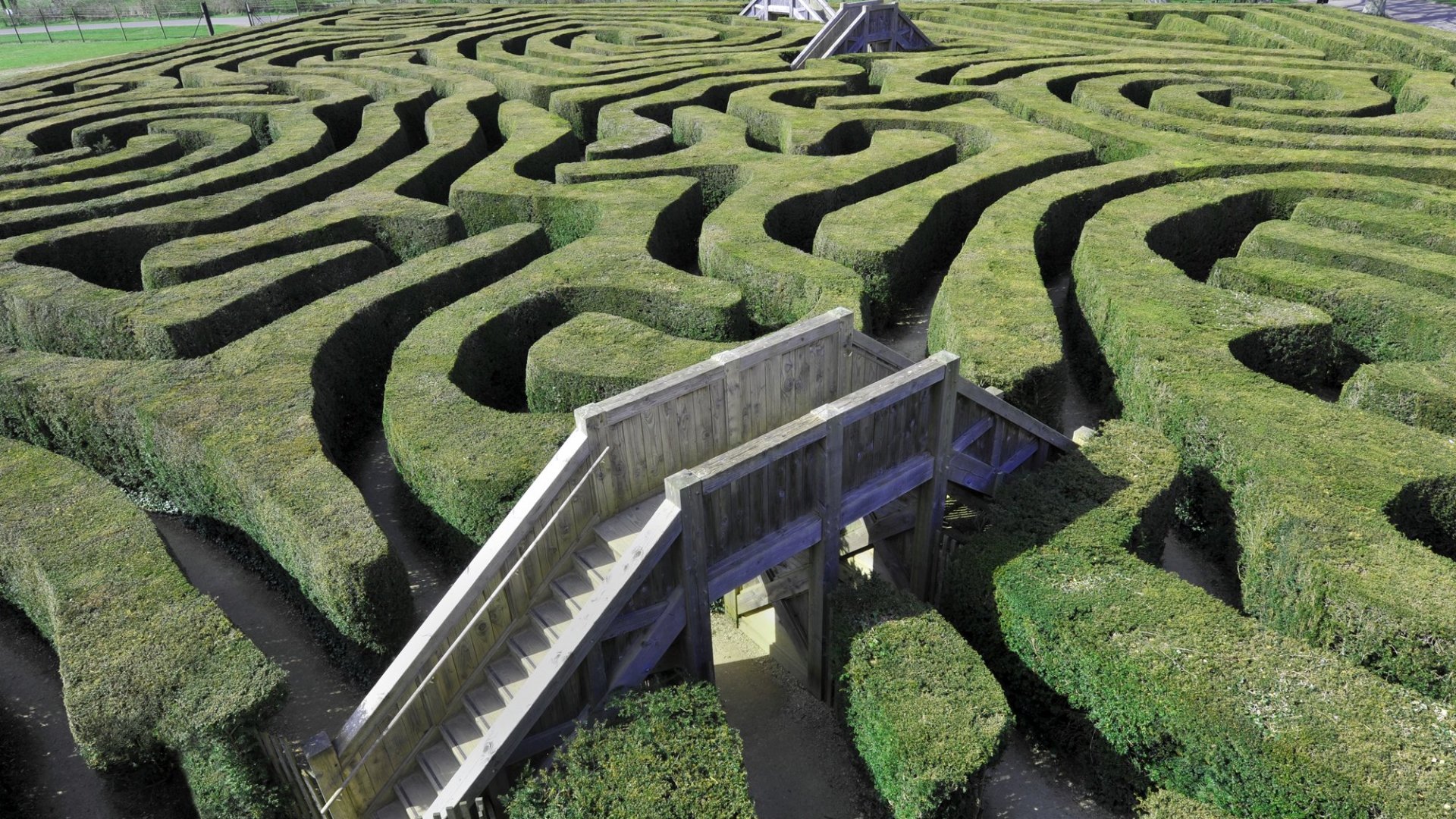 Two Reasons Why You Should Take "The Path Of Most Resistance” Early In ...