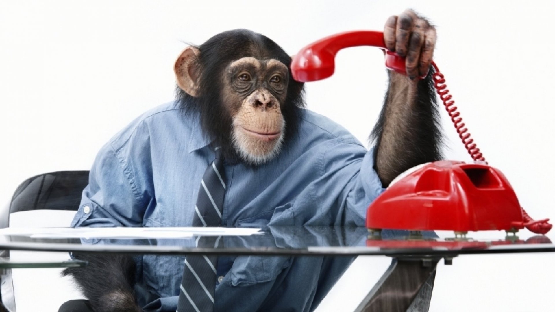 The 9 Worst Mistakes You Can Ever Make at Work | Inc.com