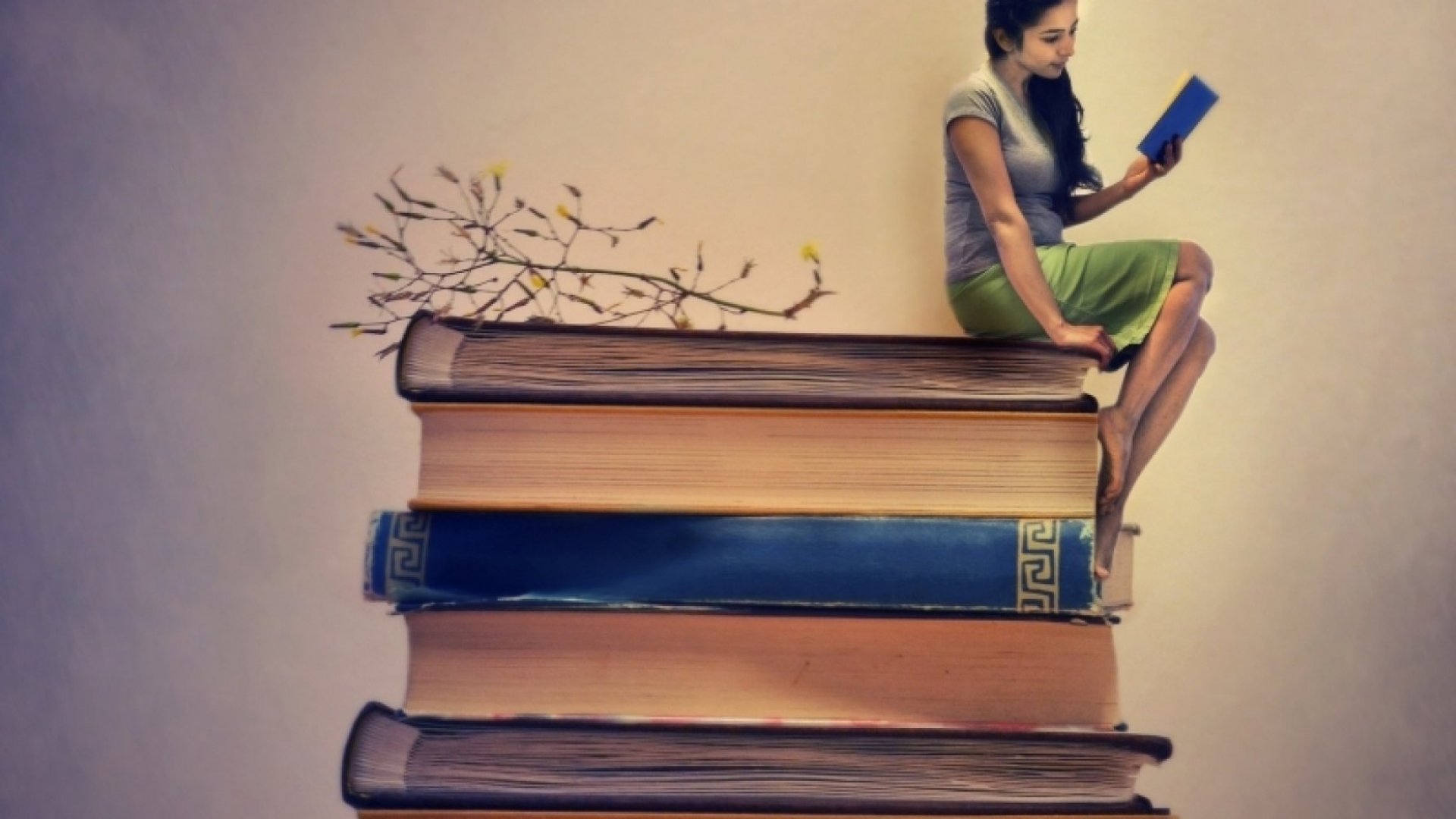 17 Intriguing Books Entrepreneurs Recommend You Read | Inc.com