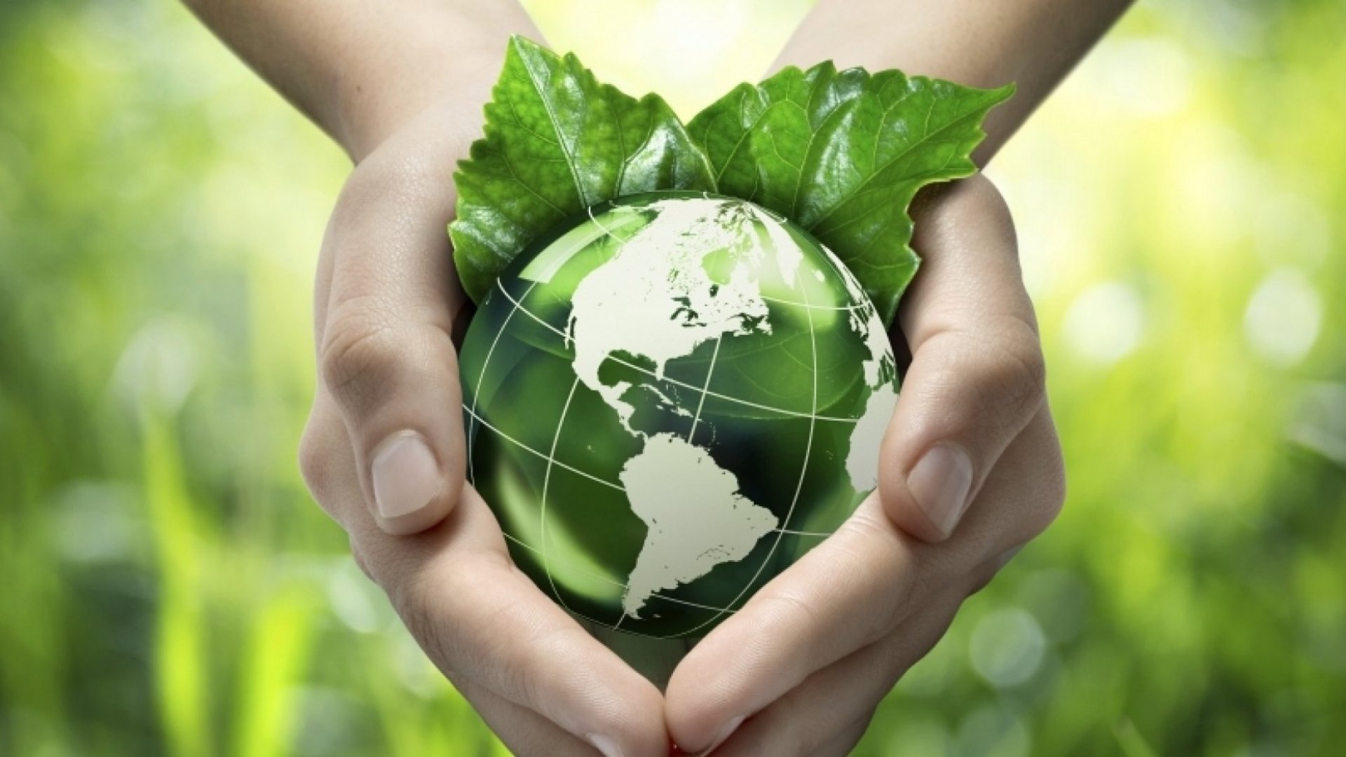 Let's All Get Behind Regenerative Capitalism | Inc.com