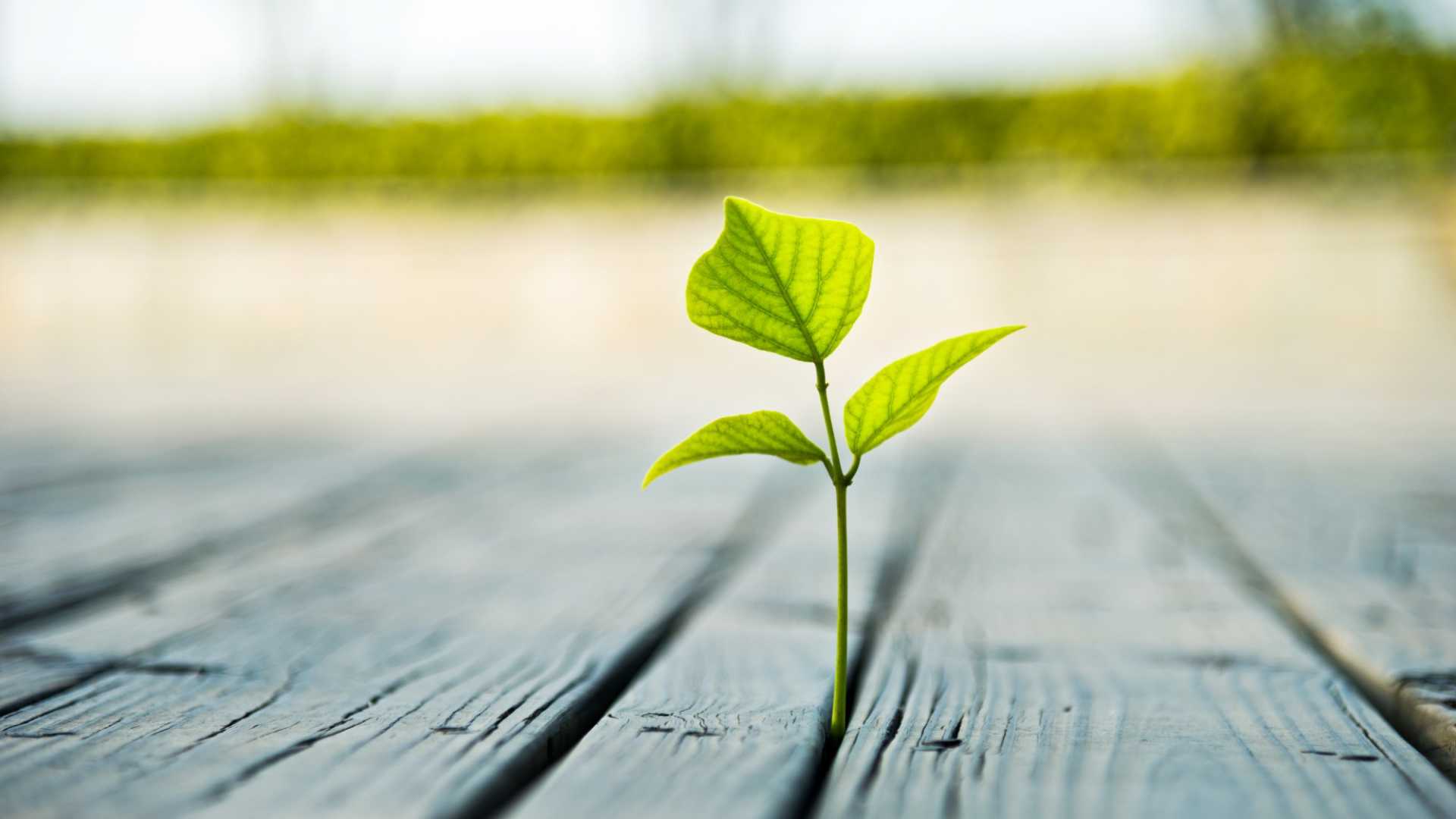 Turning Problems Into Profit In Six Simple Steps | Inc.com