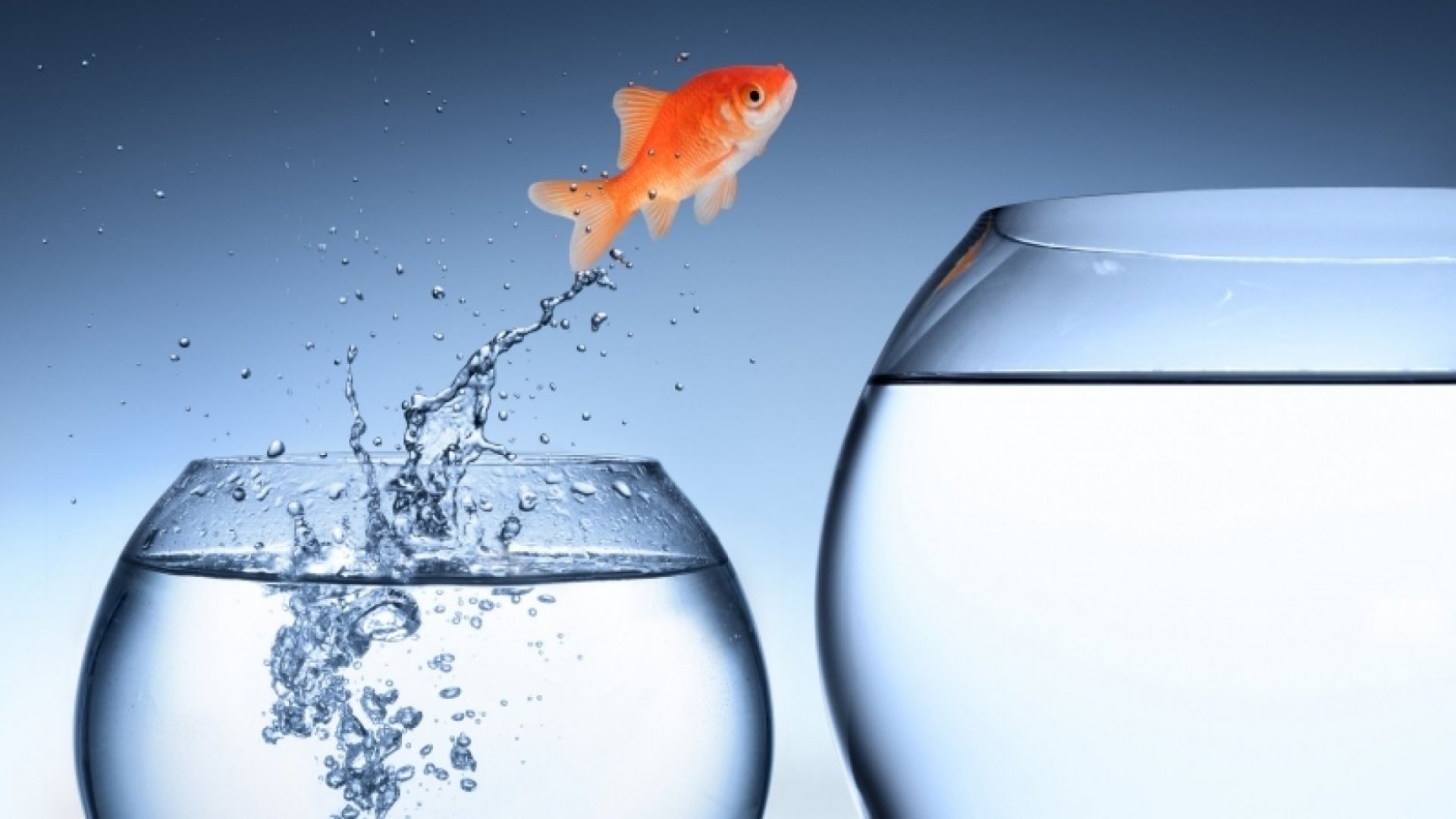 Why the Best Companies Embrace Constant Change | Inc.com