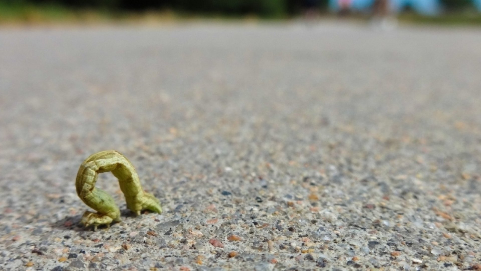 Forget the Extra Mile--Go the Extra Inch | Inc.com