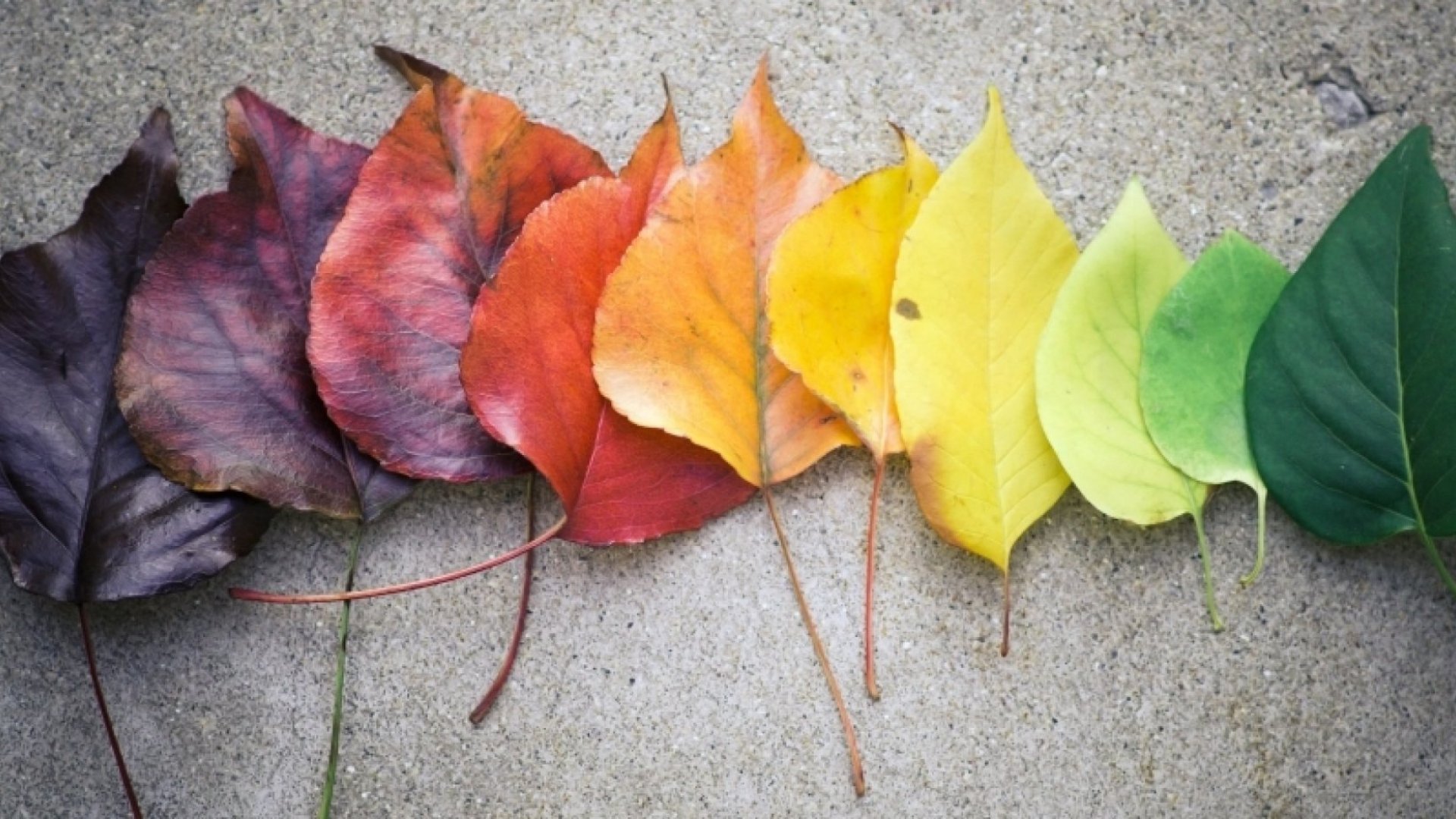 The Best Way to Respond to Unexpected Changes | Inc.com