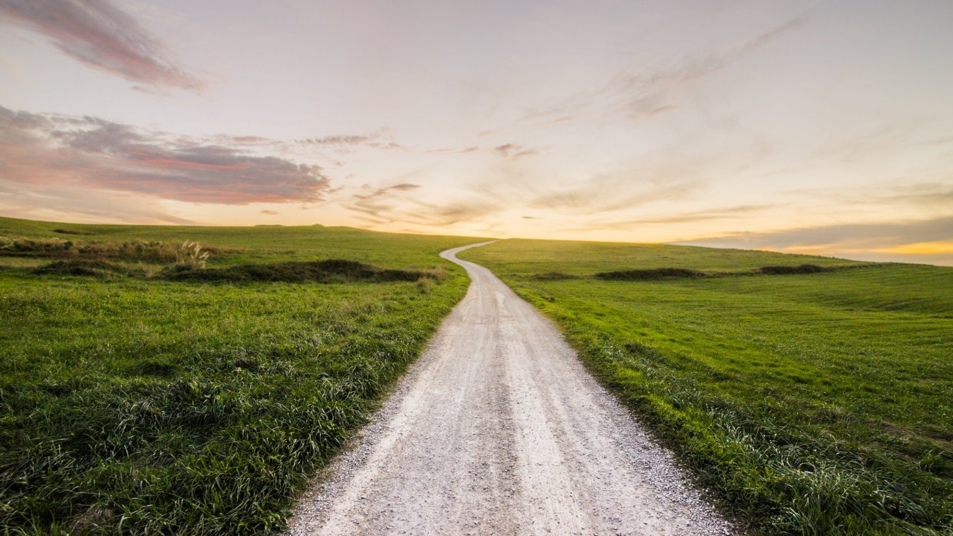 Four Tips to Help Leaders Maintain Vision and Purpose Through Growth ...