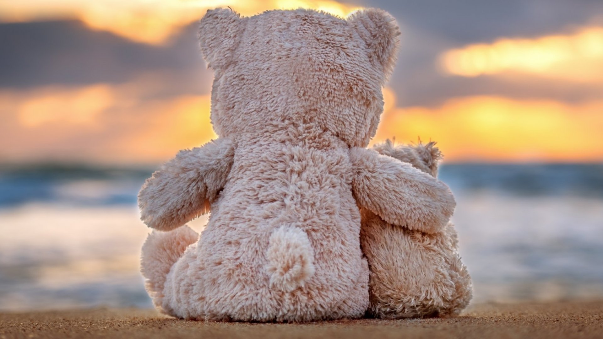 17 Quotes About Kindness That Will Inspire You to Make a Difference ...