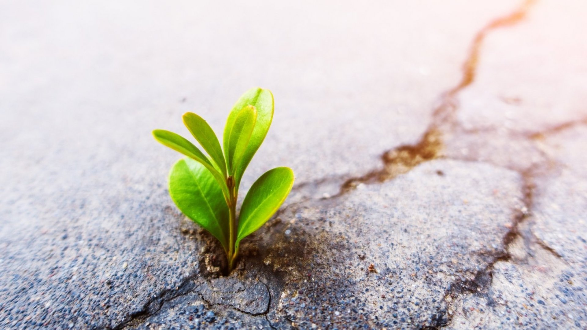 When Bad Stuff Happens, These 3 Things Will Make You Feel Better About ...