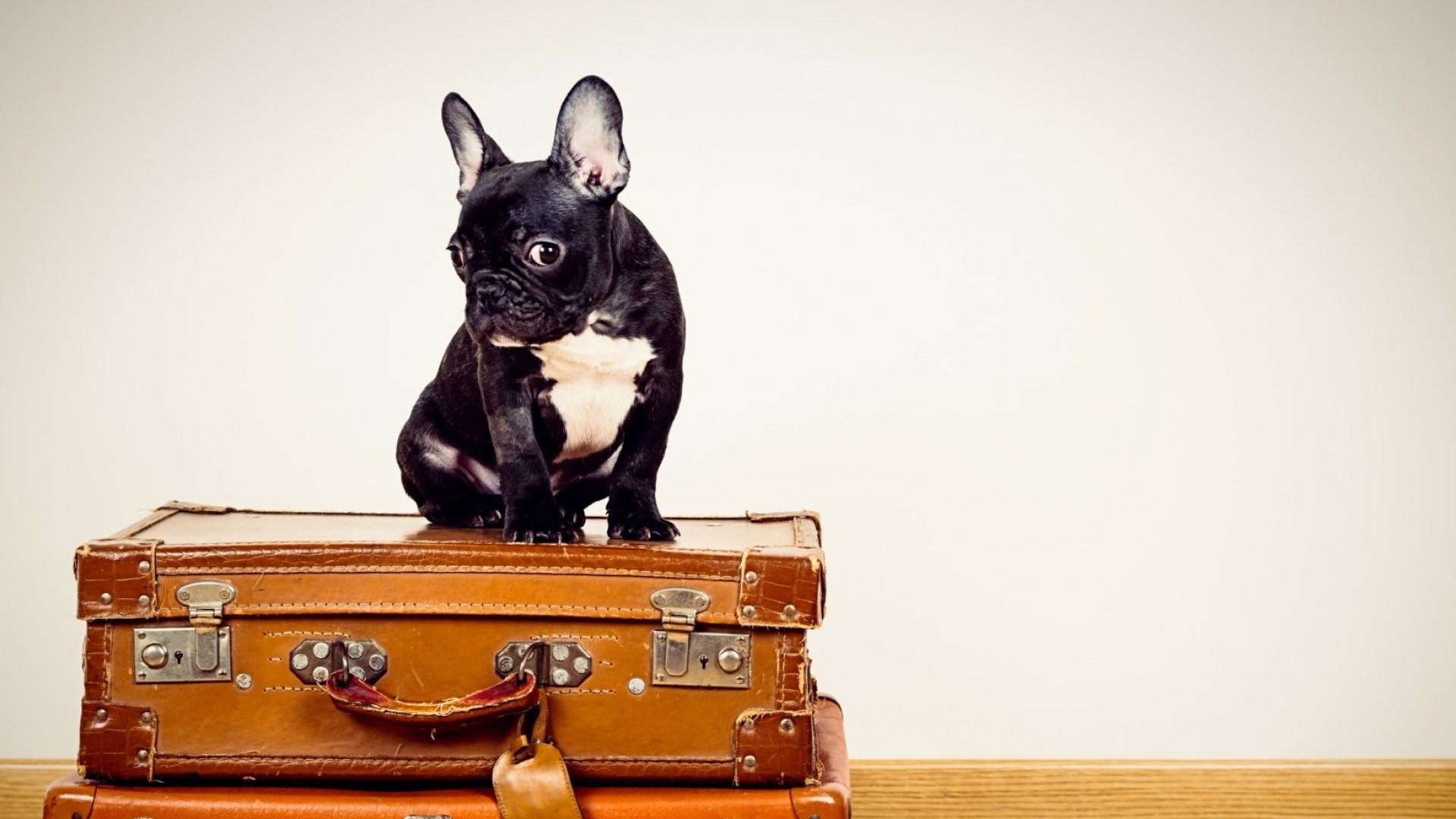 This Just Might Be the Best Summer Internship Ever (But It's Really ...