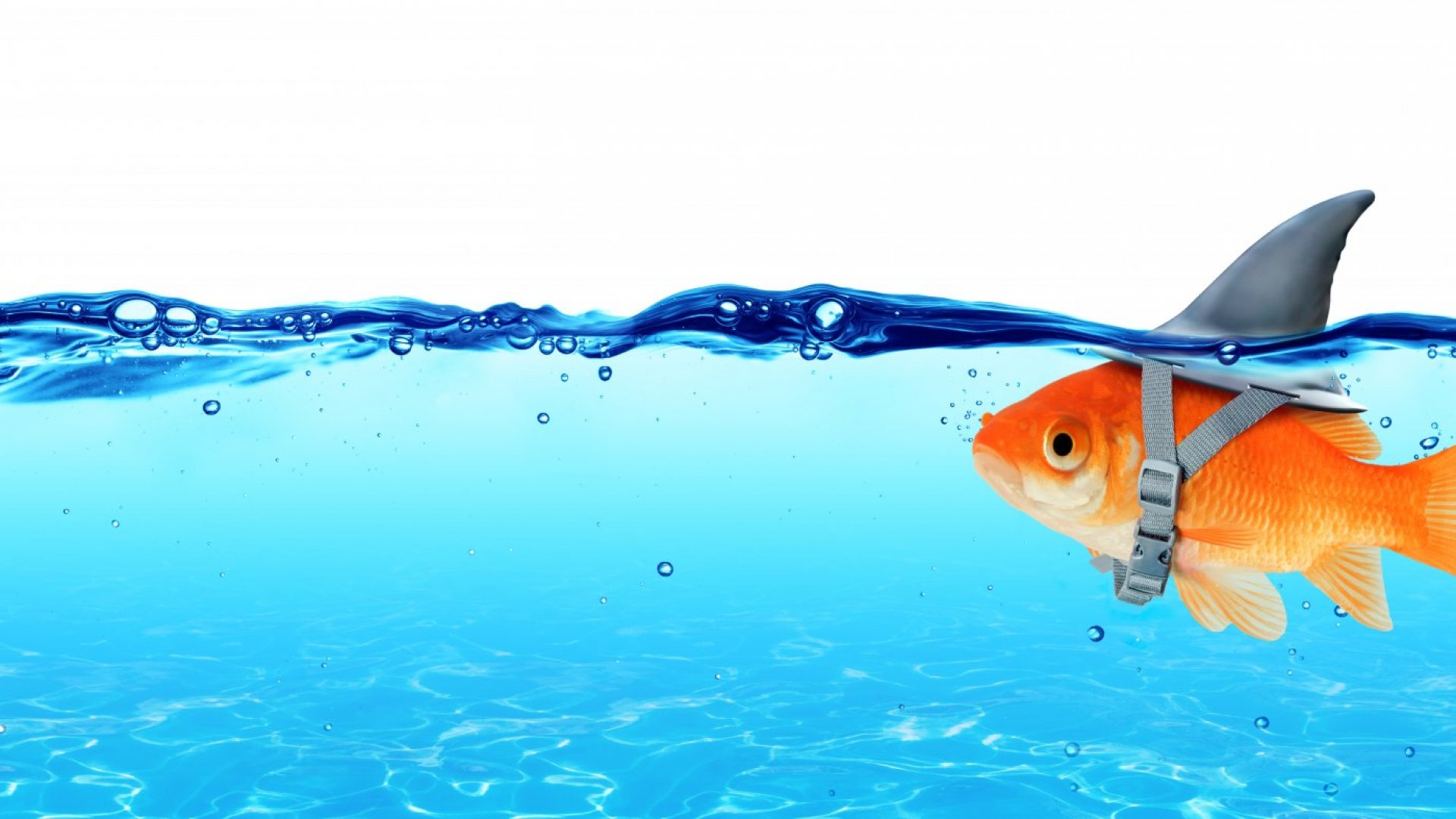 Stop Listening to Those 'Personal Development Gurus.' Use These 3 ...