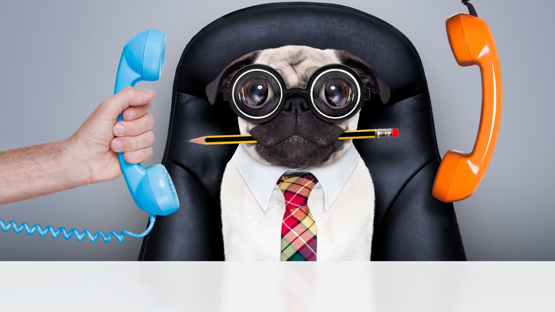 How to Resolve Office Clashes Before They Turn Toxic | Inc.com