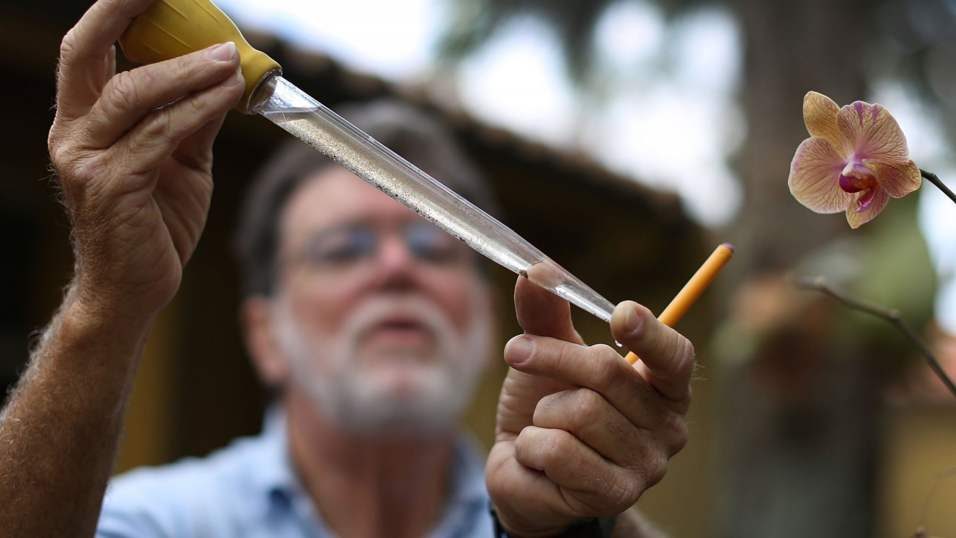 Zika Illness Caused by Monsanto? This Is How Conspiracy Theories Do ...