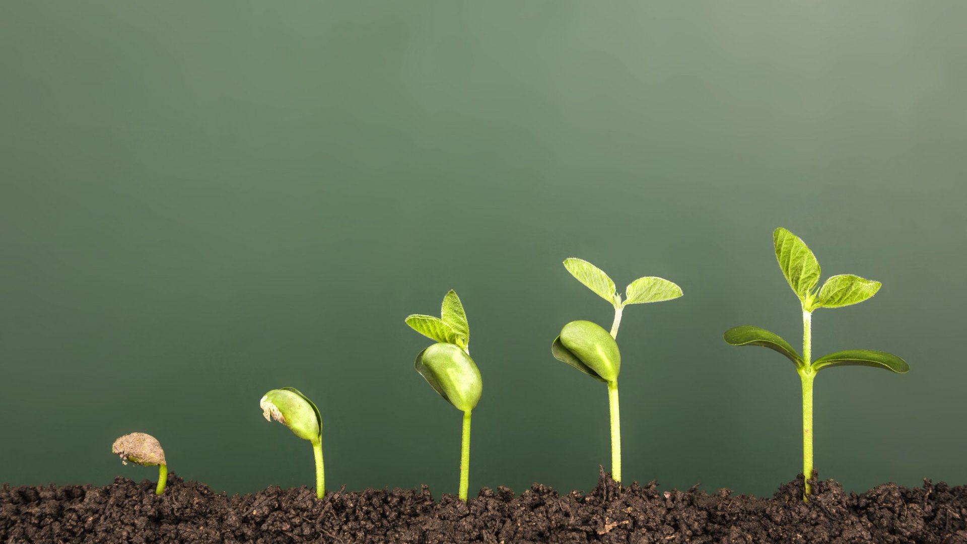 Want to Create a New Habit? Start With These 3 Simple Guidelines | Inc.com