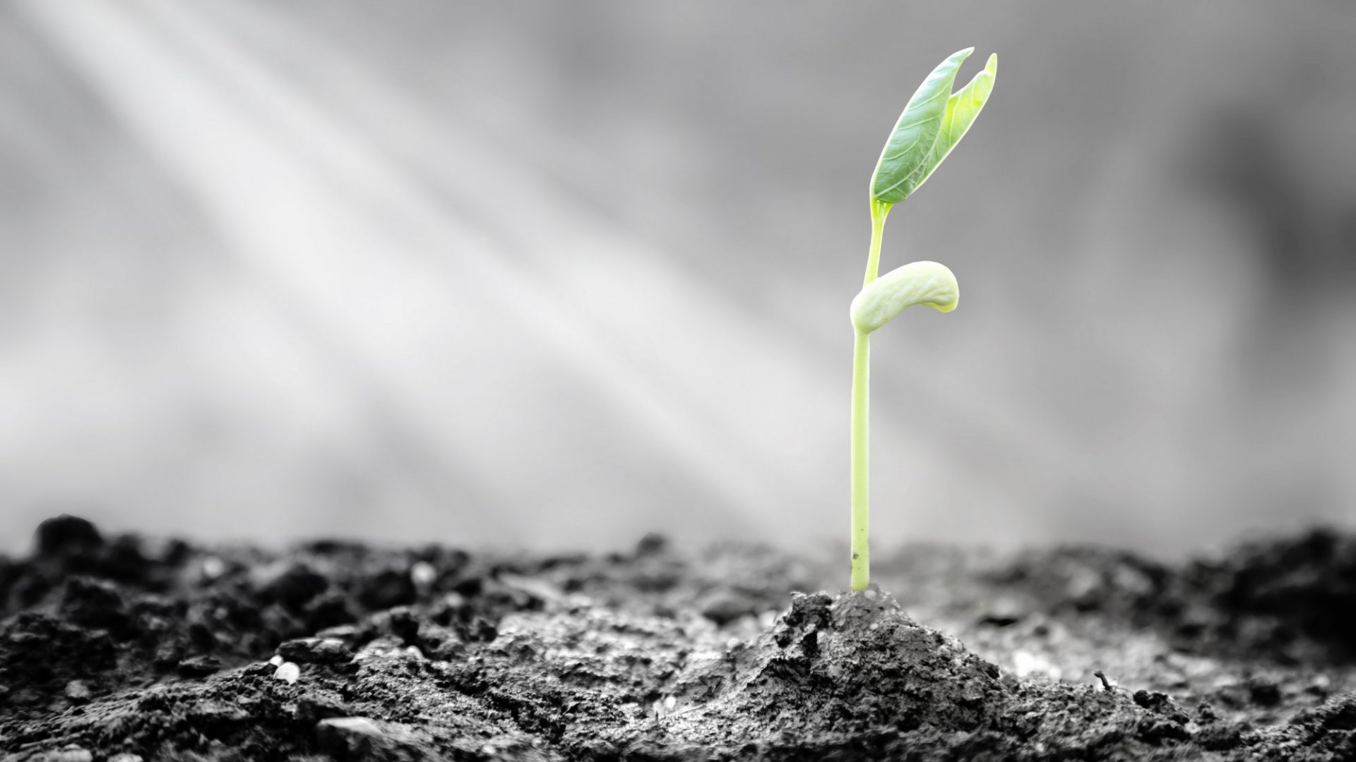 Personal Growth Takes Time. Here Are 2 Ways to Be Patient With Yourself ...