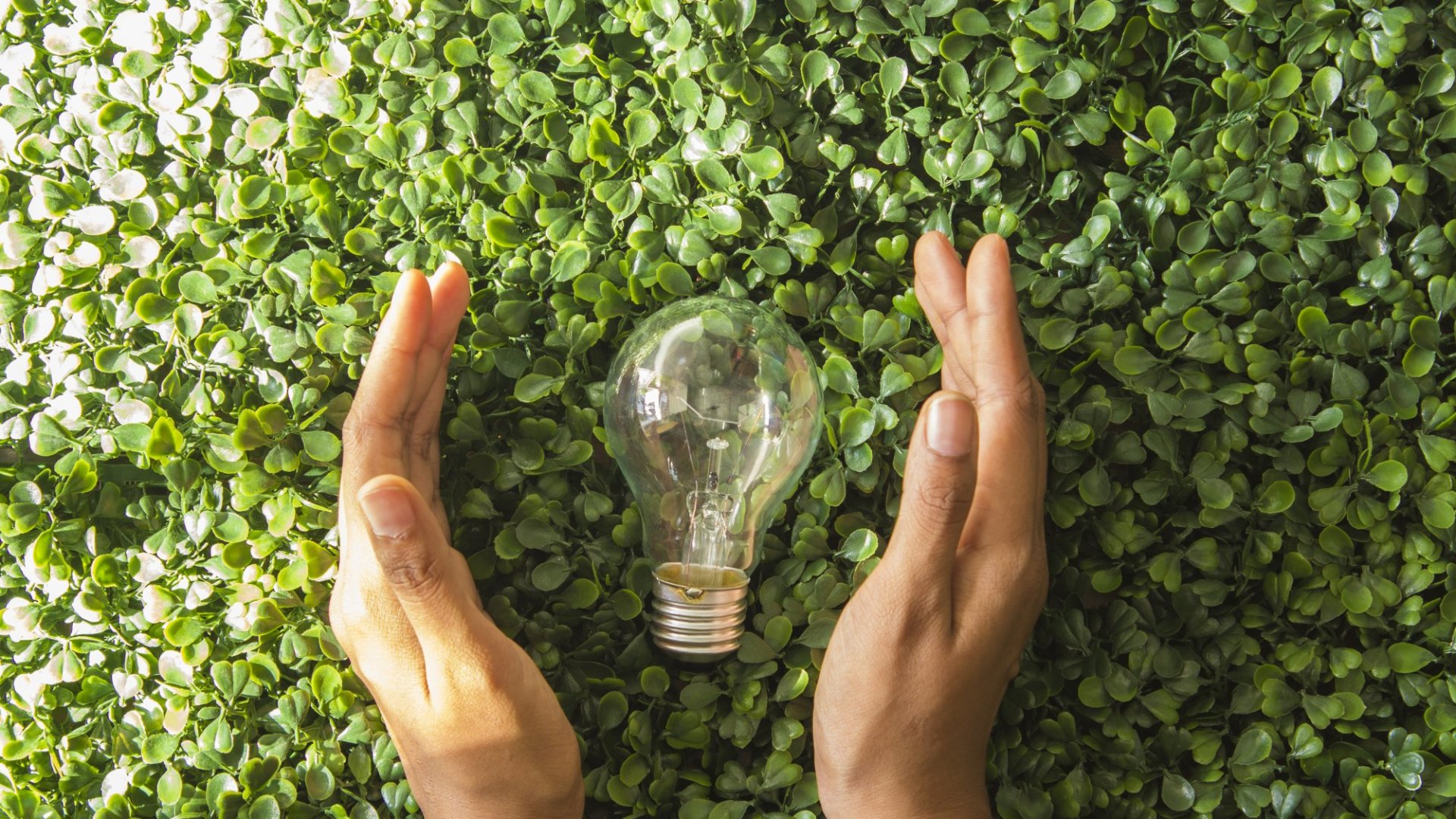 Monotasking Keeps the Brain Healthy and You More Productive. Here are 5 ...