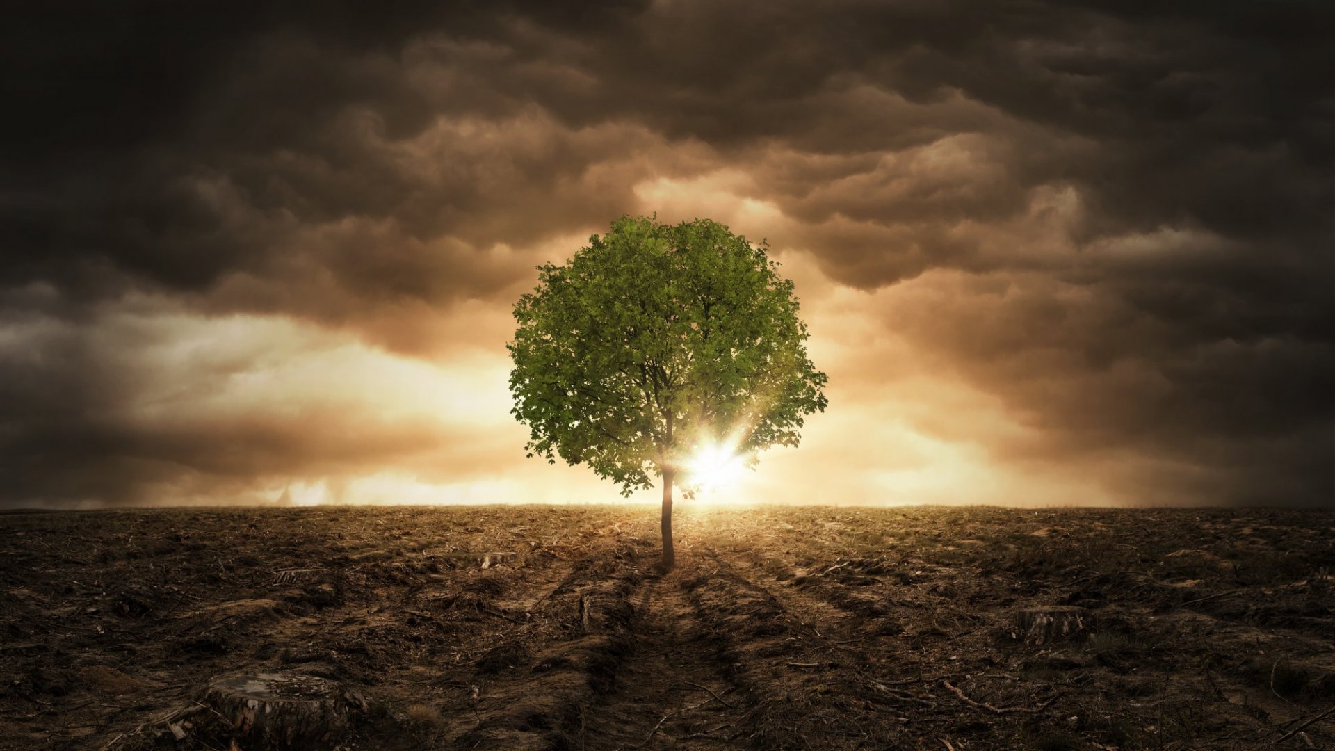 Climate Change Is Here Right Now: 17 Quotes That Will Inspire You to ...