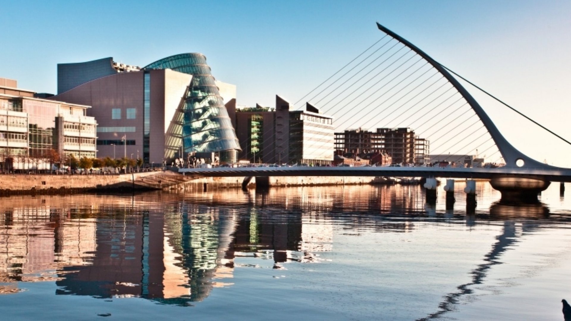 Lessons On Adding Value To The Tech Ecosystem From Dublin’s First ...