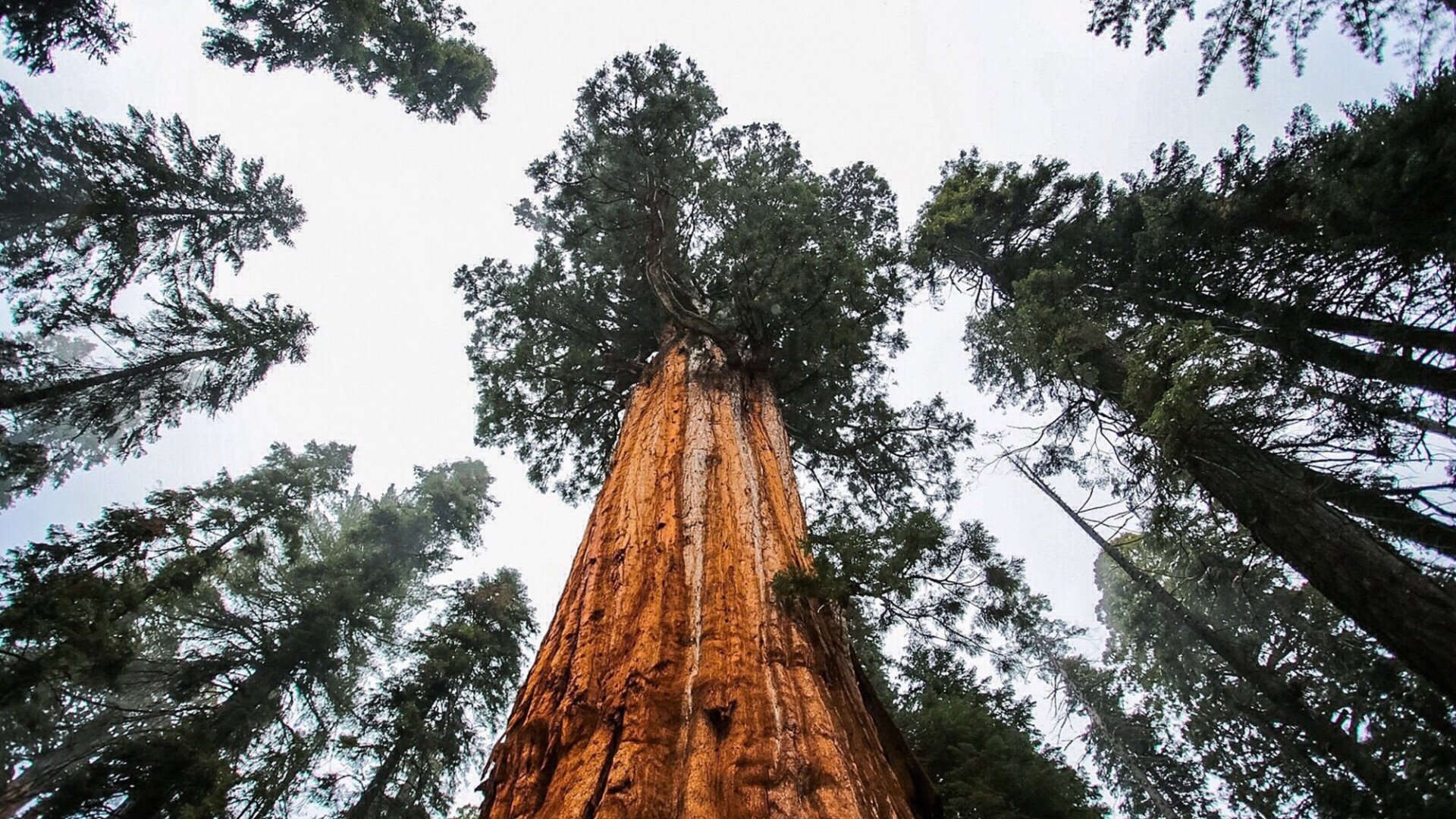 Sequoia Capital Just Gave a Dire Warning to Its Portfolio Companies ...