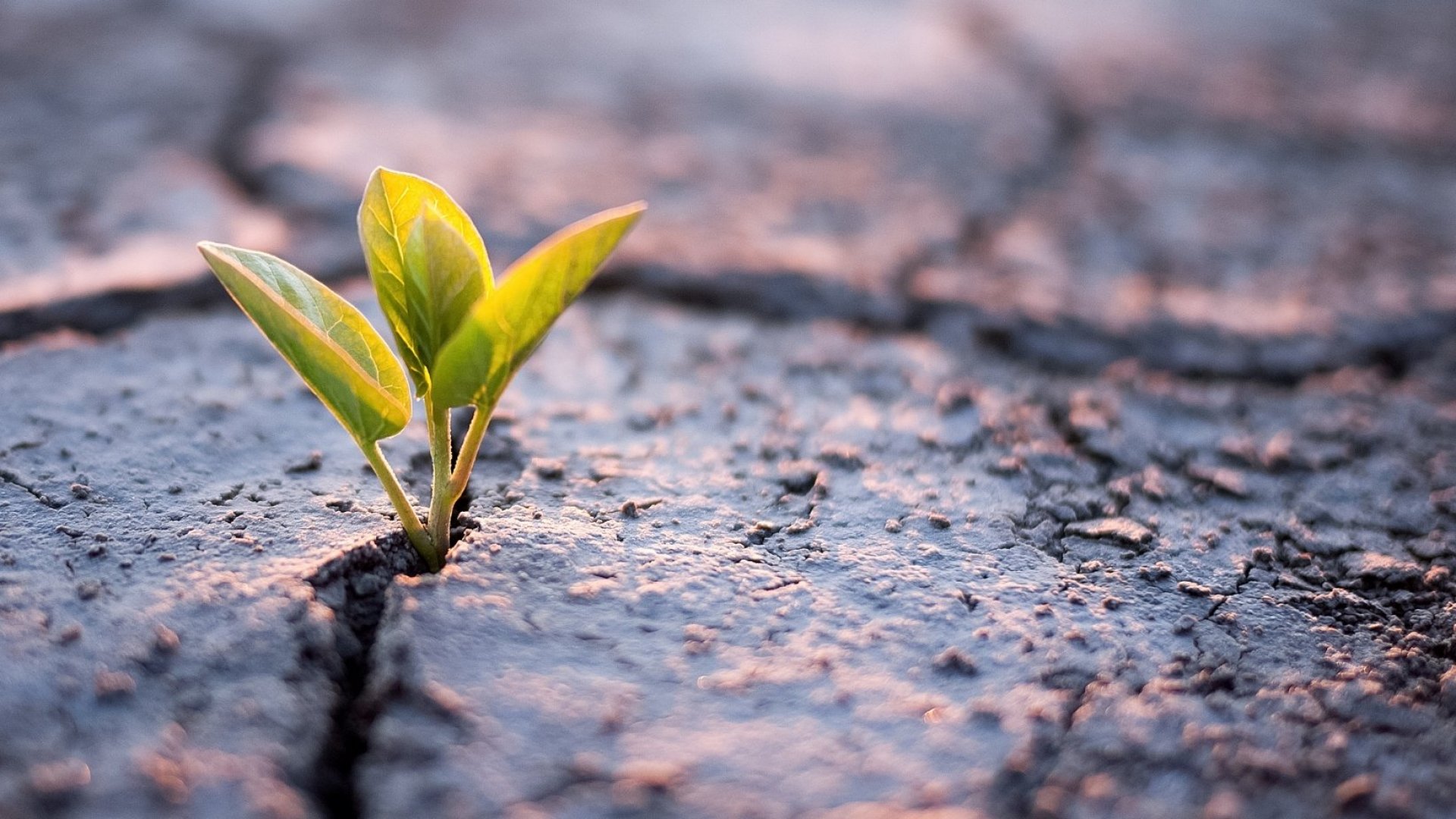 10 Reasons Why You Aren't Growing as a Leader (and Why You Should Still ...