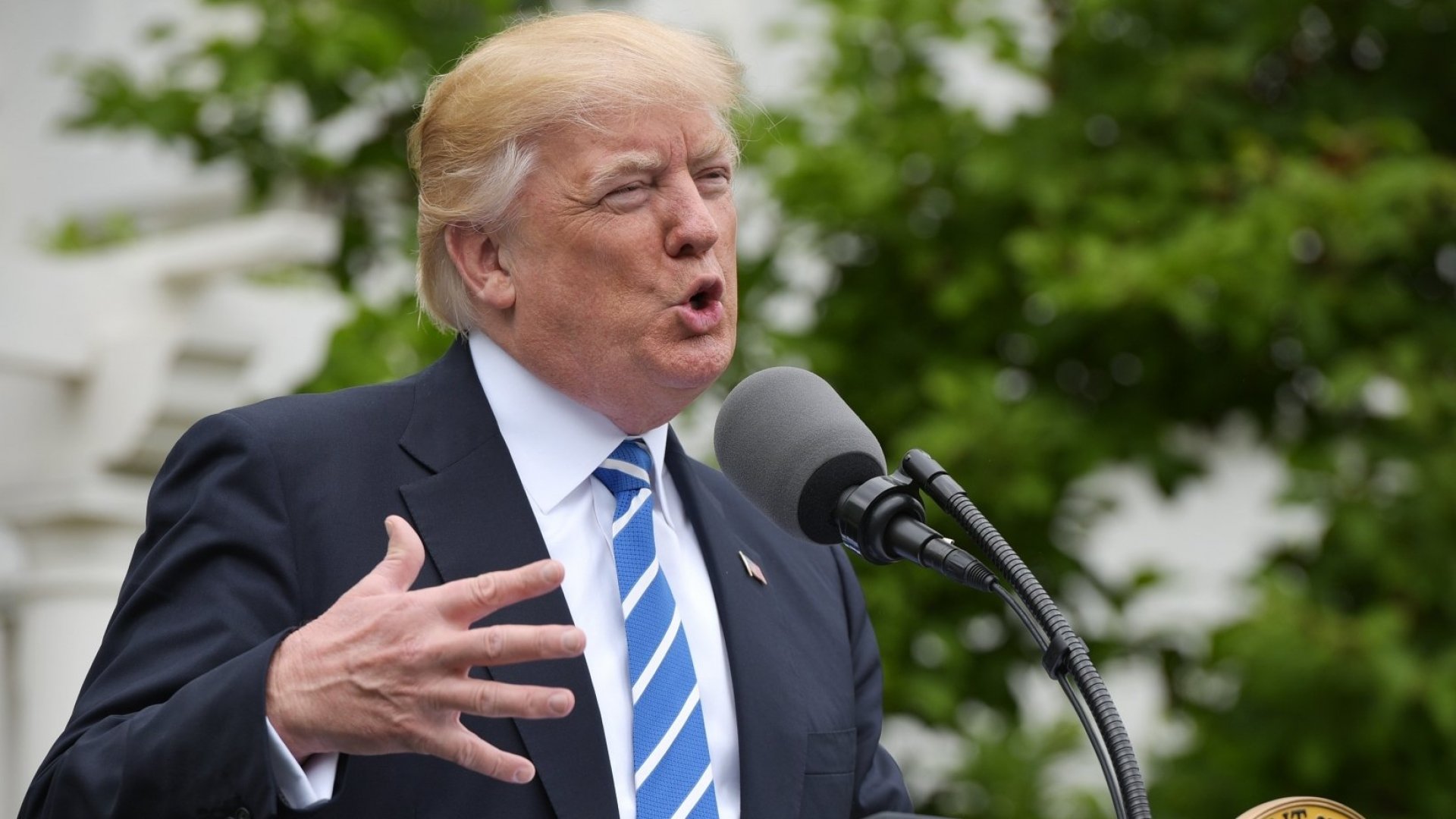 Trump Creates Tech Council to Modernize Government's Digital Service ...