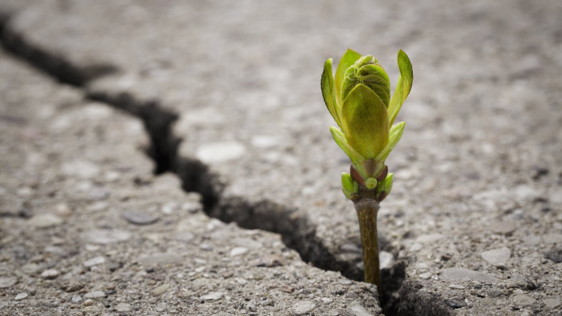 This 5-Step Personal Development Plan Made Me a Better Entrepreneur ...