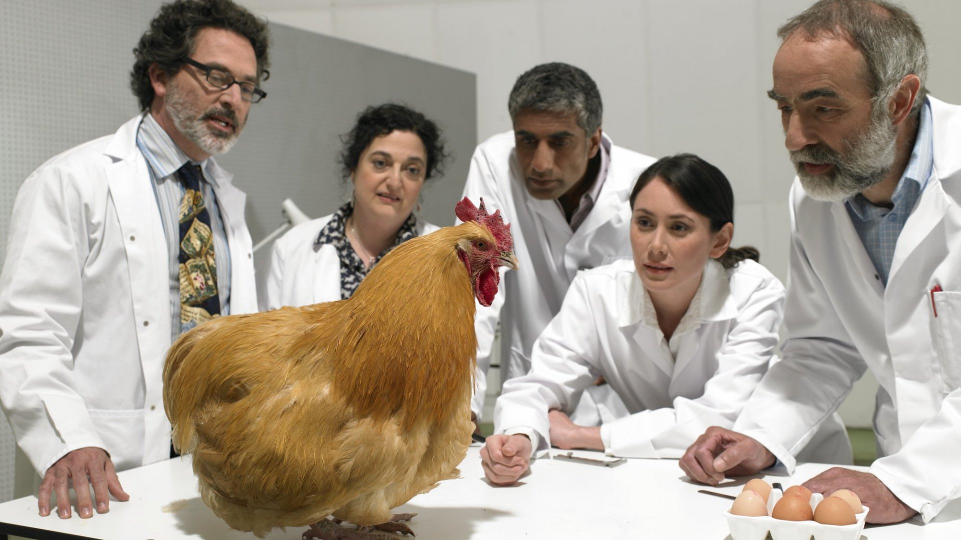 The Superchicken and 4 More Startup Growth Secrets | Inc.com