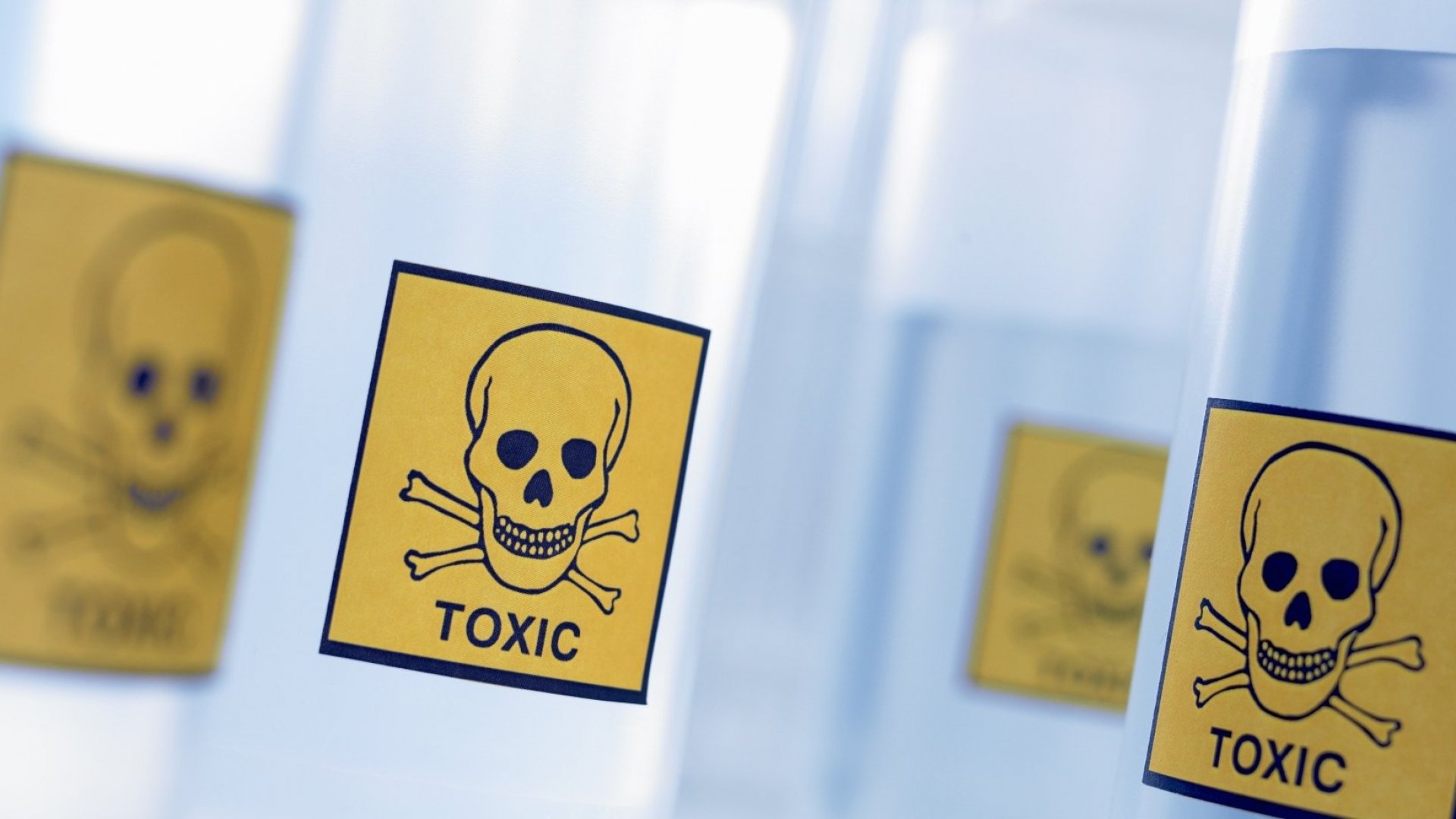 5 Ways to Identify a Toxic Workplace During Your Interview | Inc.com