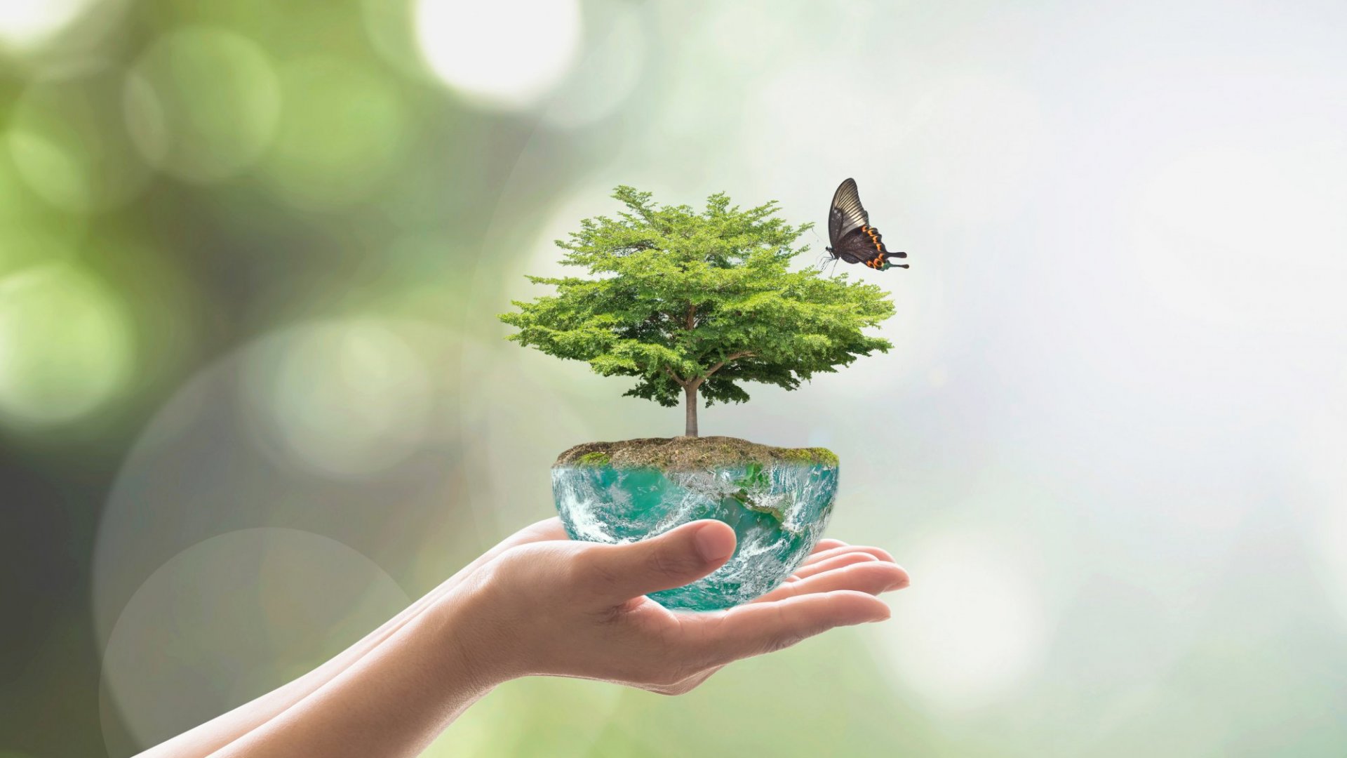 9 Quotes That Challenge Us Do More for Our Environment | Inc.com