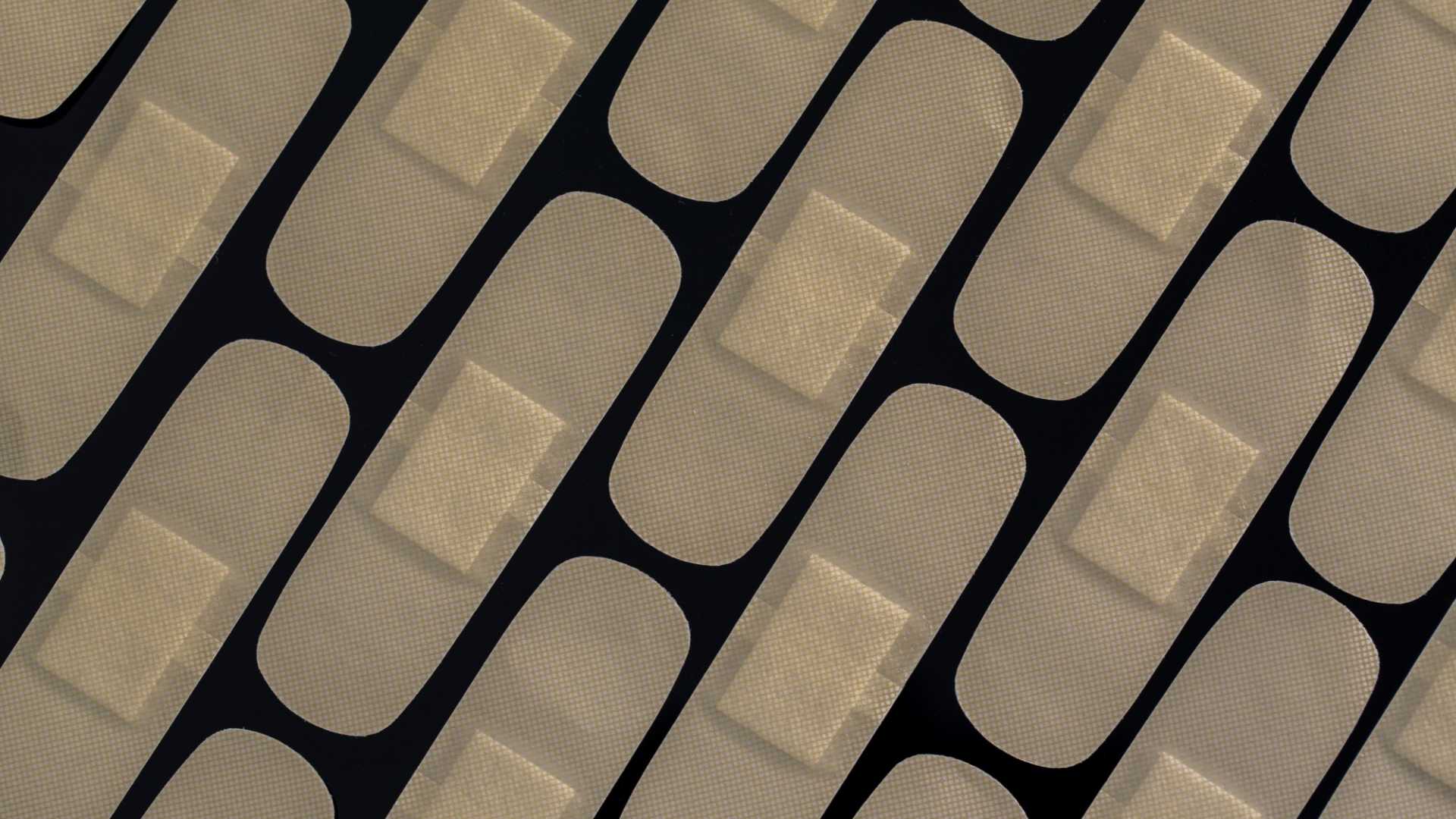 Why Sometimes You Need to Have the Guts to Do What's Momentarily ...