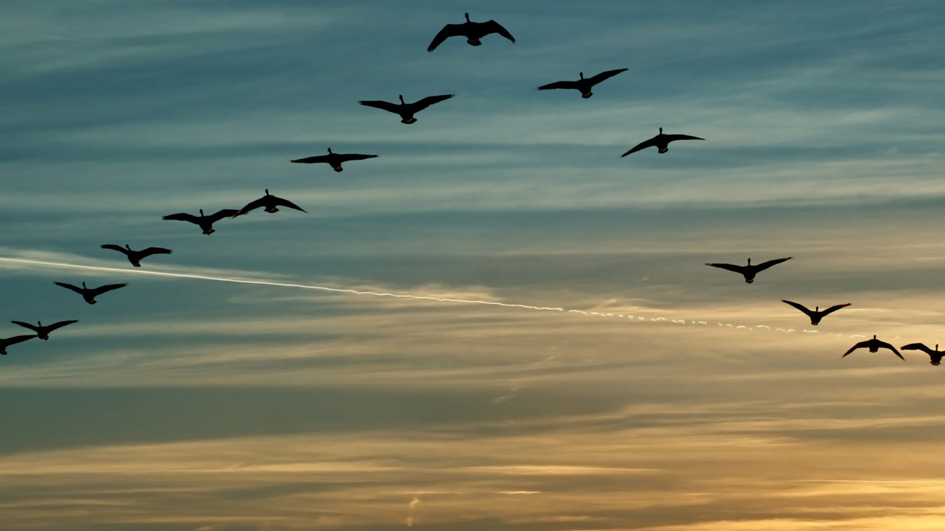 5 Surefire Ways to Become a More Approachable Leader | Inc.com