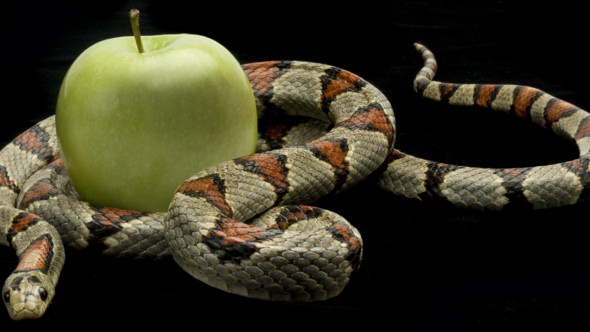 5 Deadliest Marketing Sins | Inc.com