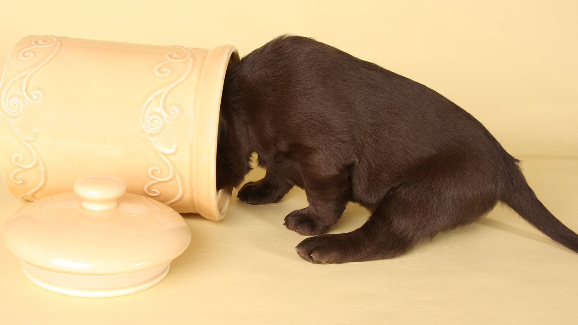 Feeling Stuck? 3 Ways to Get Moving | Inc.com