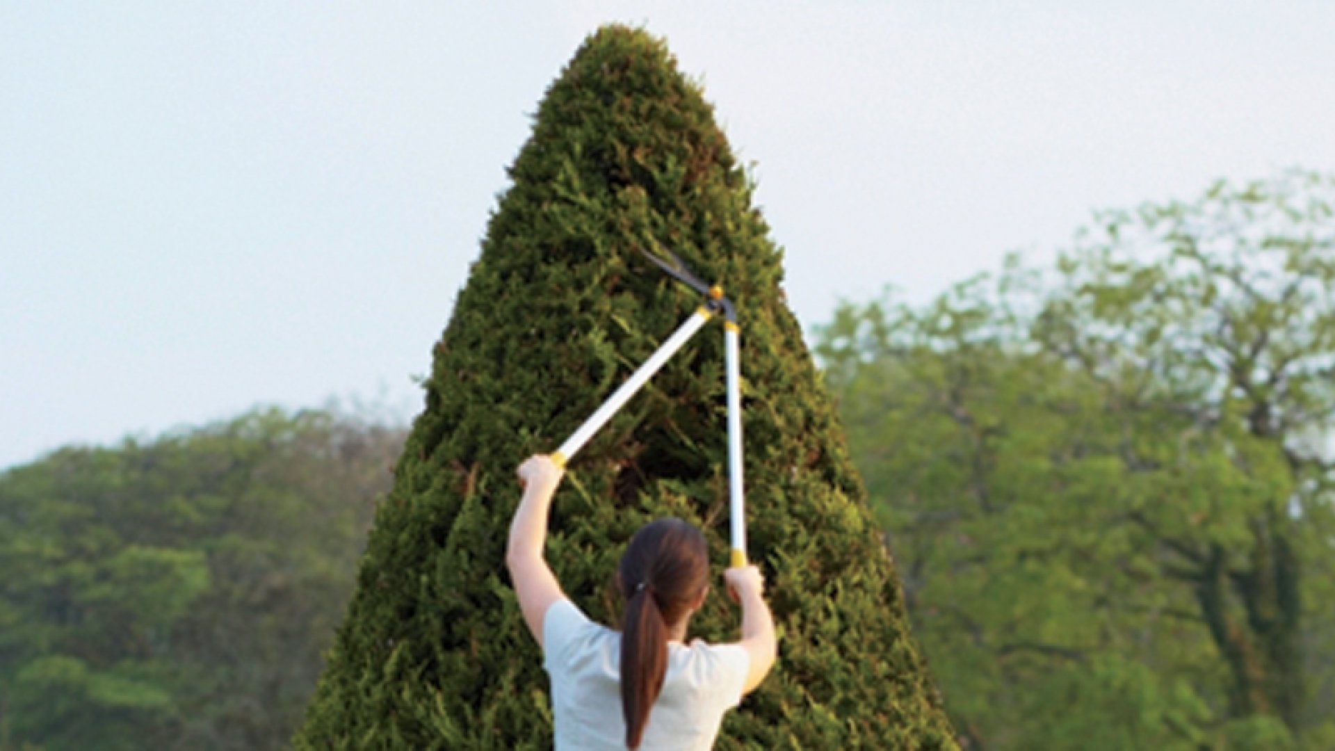 The 7 Defining Characteristics of Evergreen Companies | Inc.com