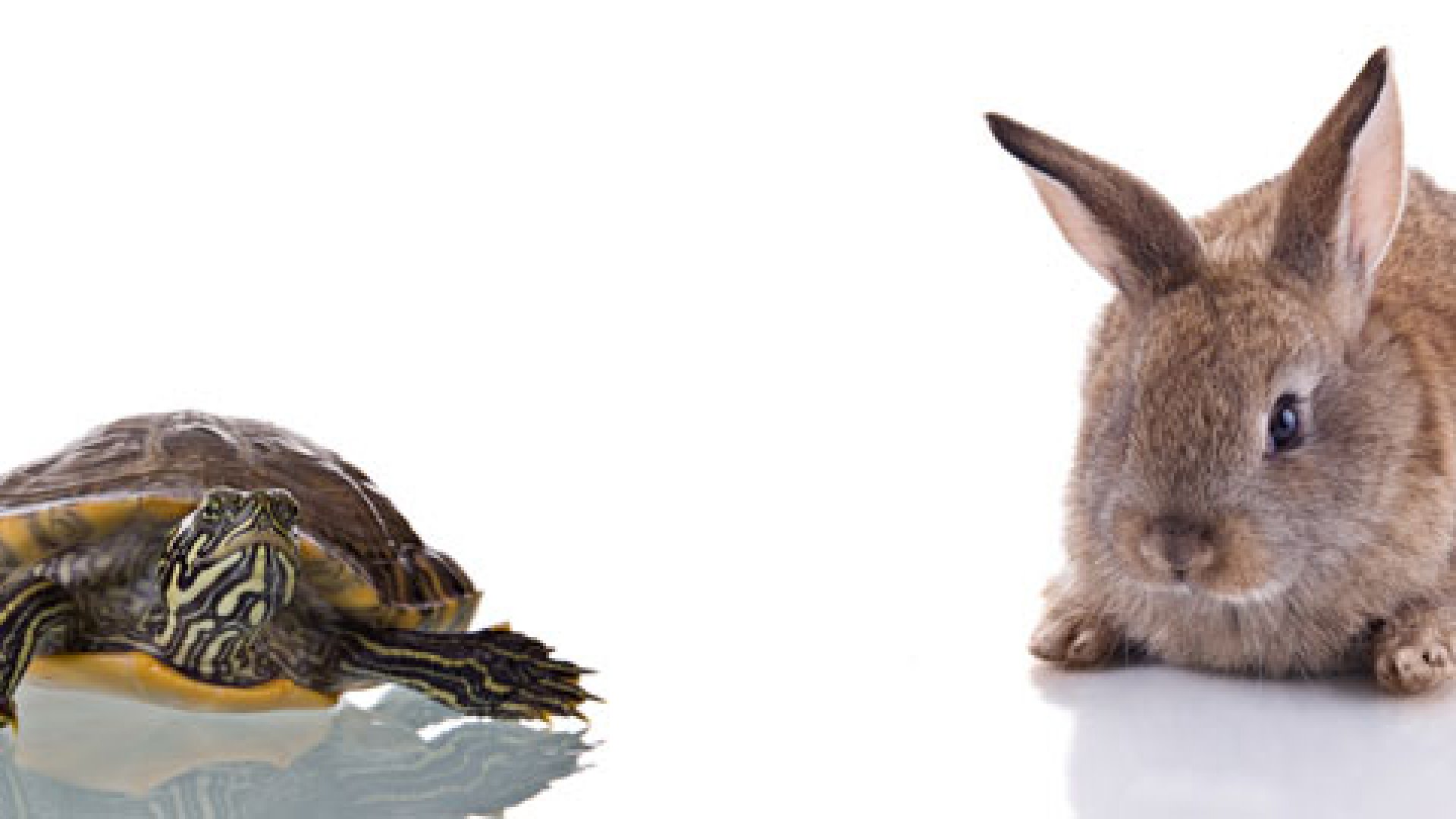 Stay Nimble, Be Quick: 3 Tips | Inc.com