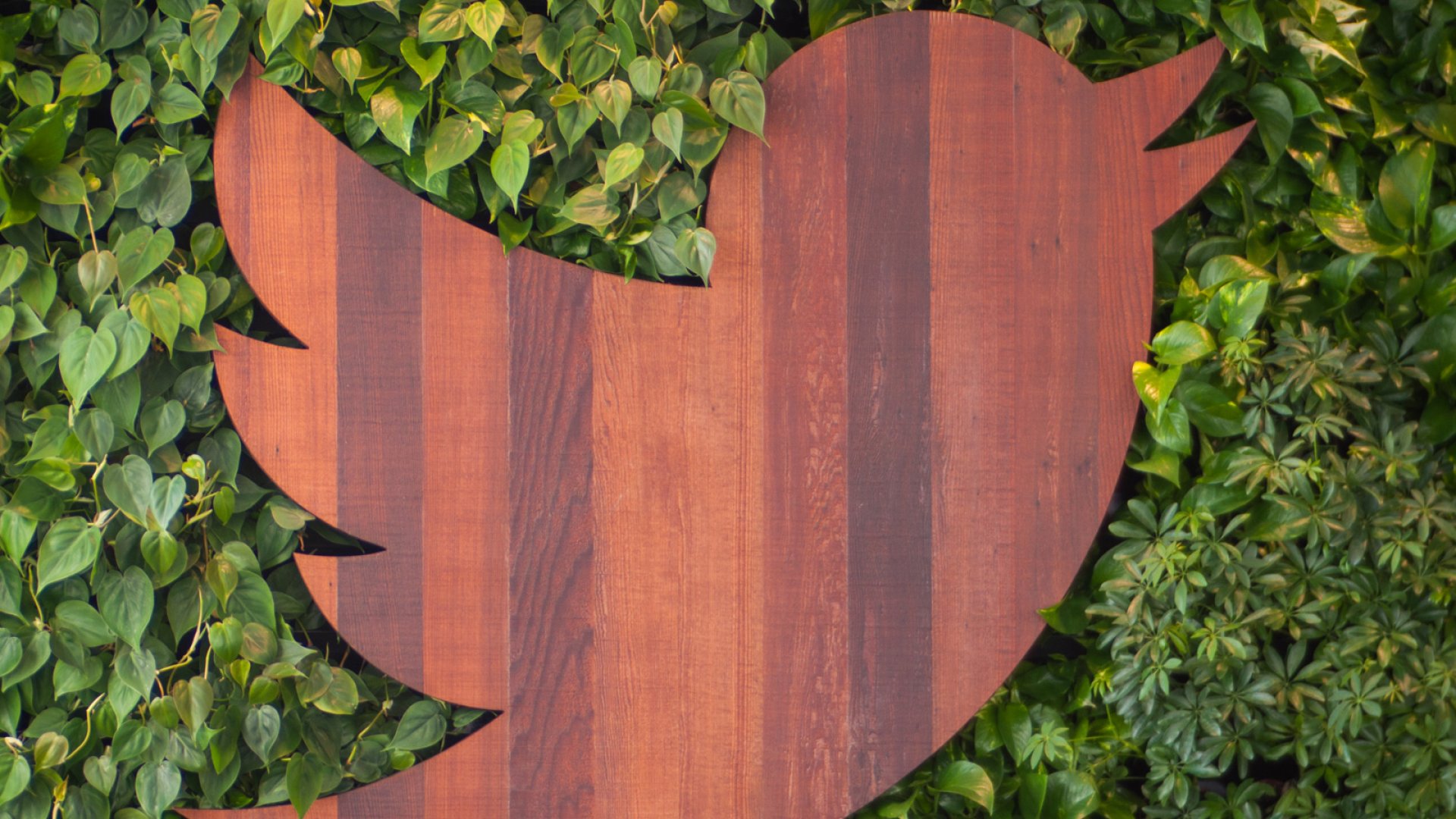 Here's What People Think About Twitter's New Strategy Statement | Inc.com