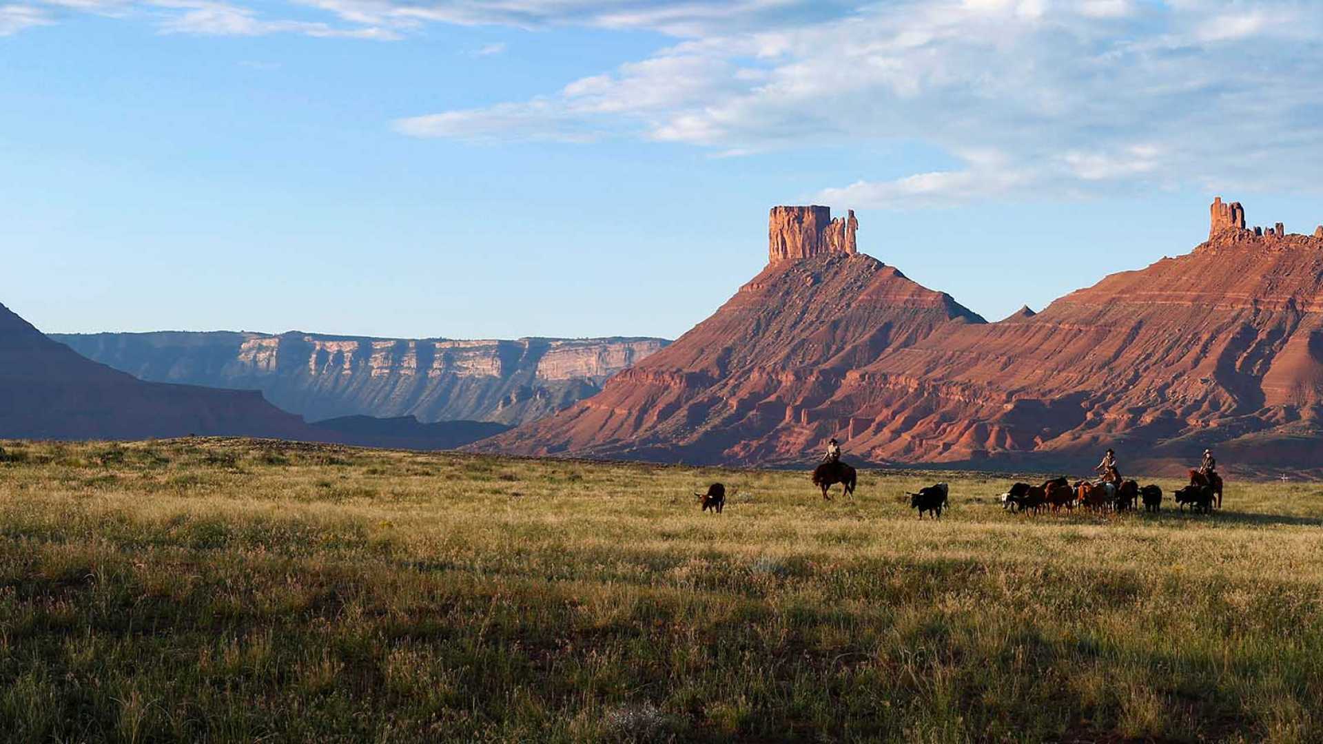 Clever Zoom Backgrounds for Your Next Meeting | Inc.com