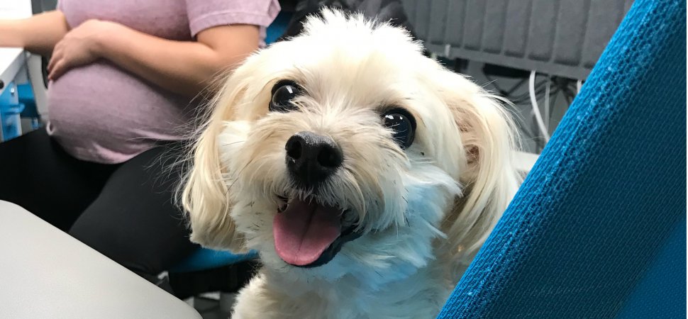 DH Technologies is a 2021 Inc. 5000 honoree