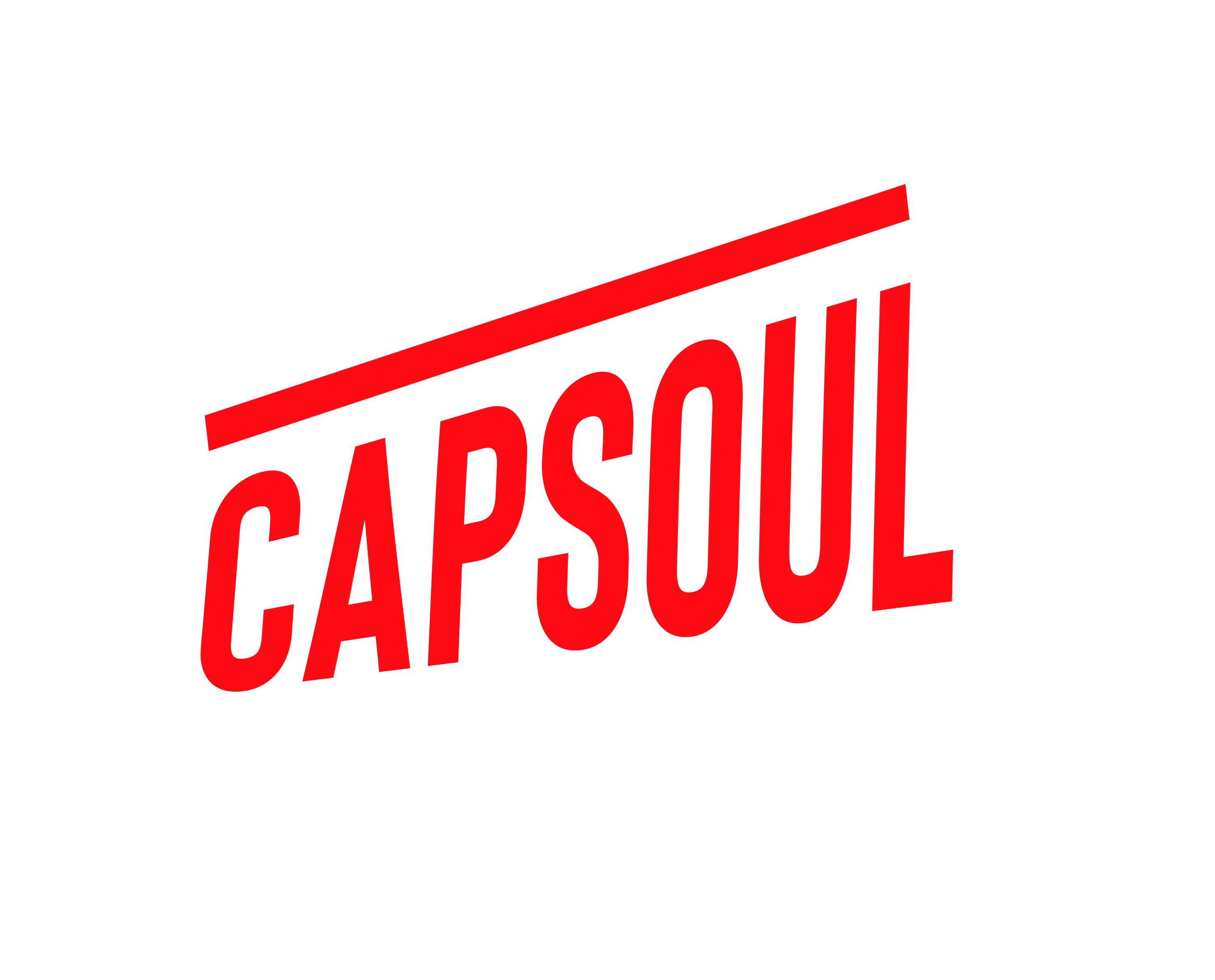 Capsoul | Inc.com