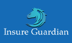 Insure Guardian | Inc.com