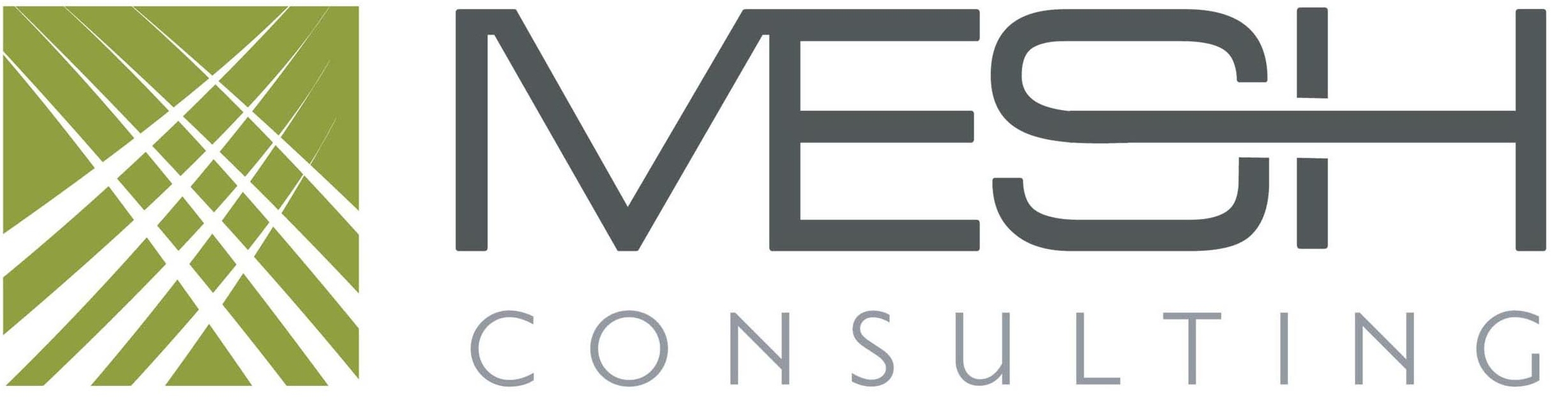 MESH CONSULTING | Inc.com