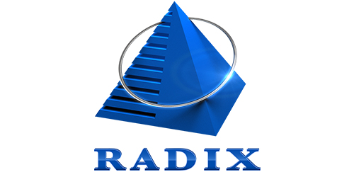Radixweb made the Power Partner Awards list!