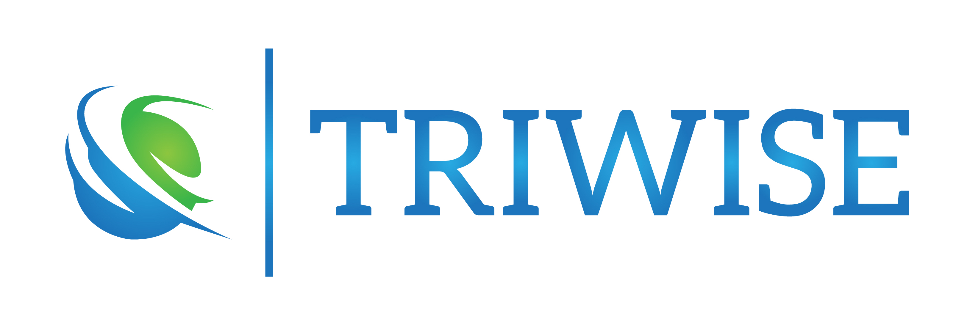 Triwise Solutions, Inc | Inc.com