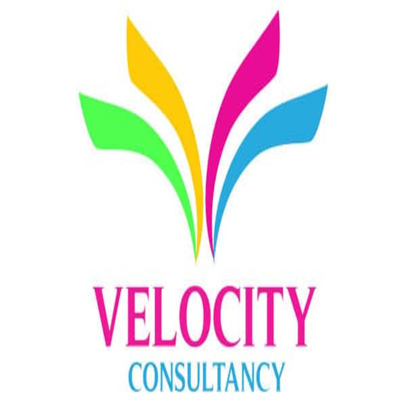 Velocity Consultancy | Inc.com